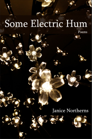 Some Electric Hum by Janice Northerns | Goodreads