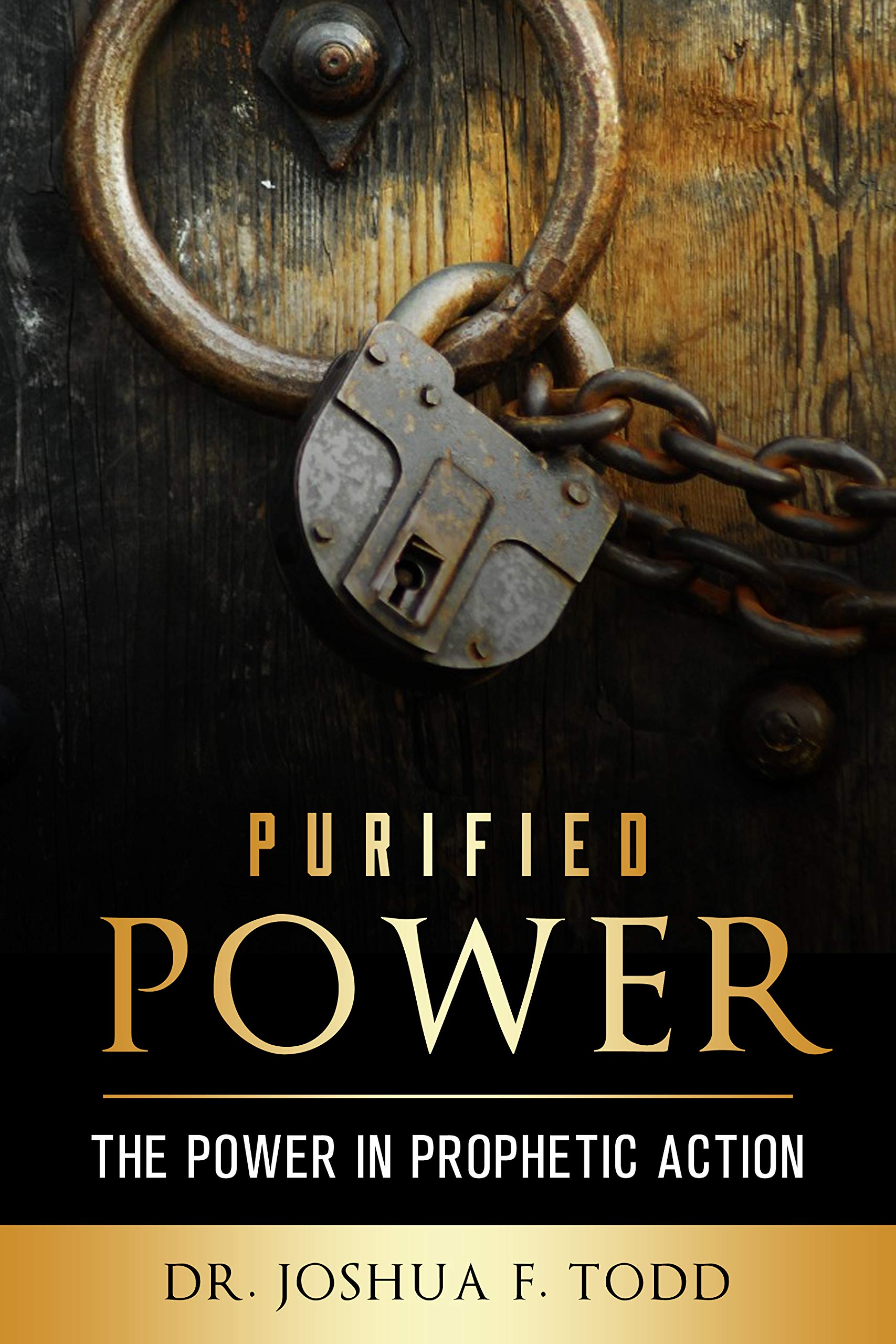 Purified Power: Book One: The Power in Prophetic Action by Joshua Todd ...