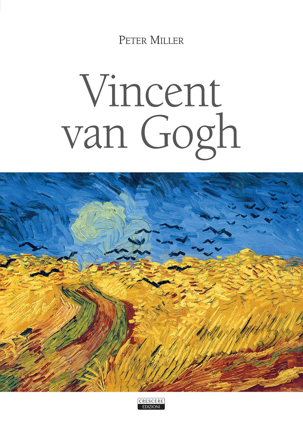 Vincent Van Gogh by Peter Miller | Goodreads