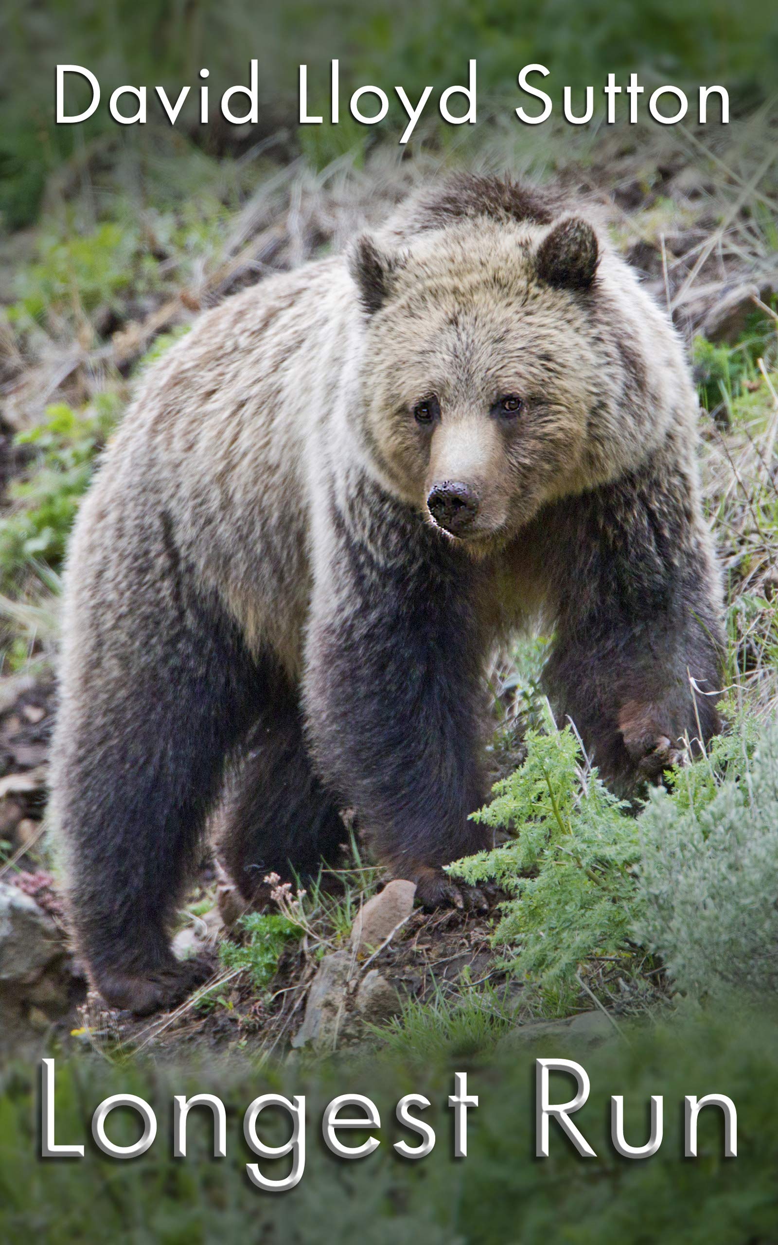 Longest Run by David Lloyd Sutton | Goodreads