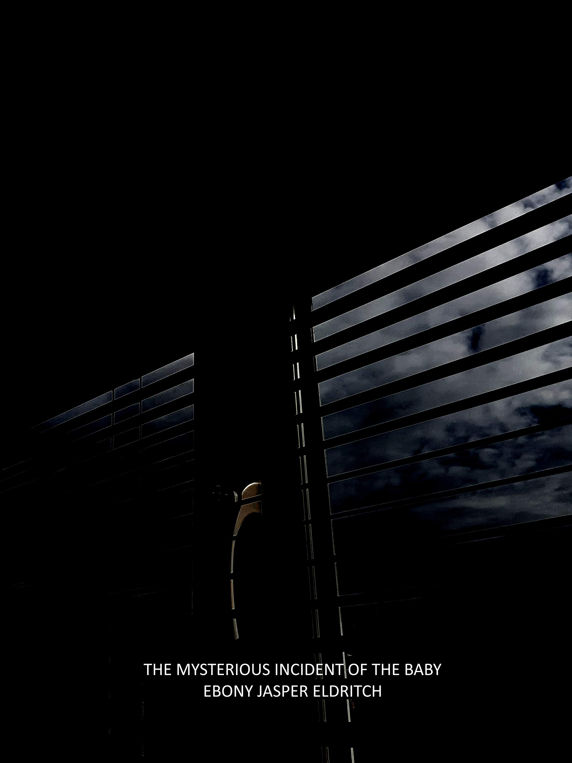 The Mysterious Incident of The Baby by Ebony Jasper Eldritch | Goodreads