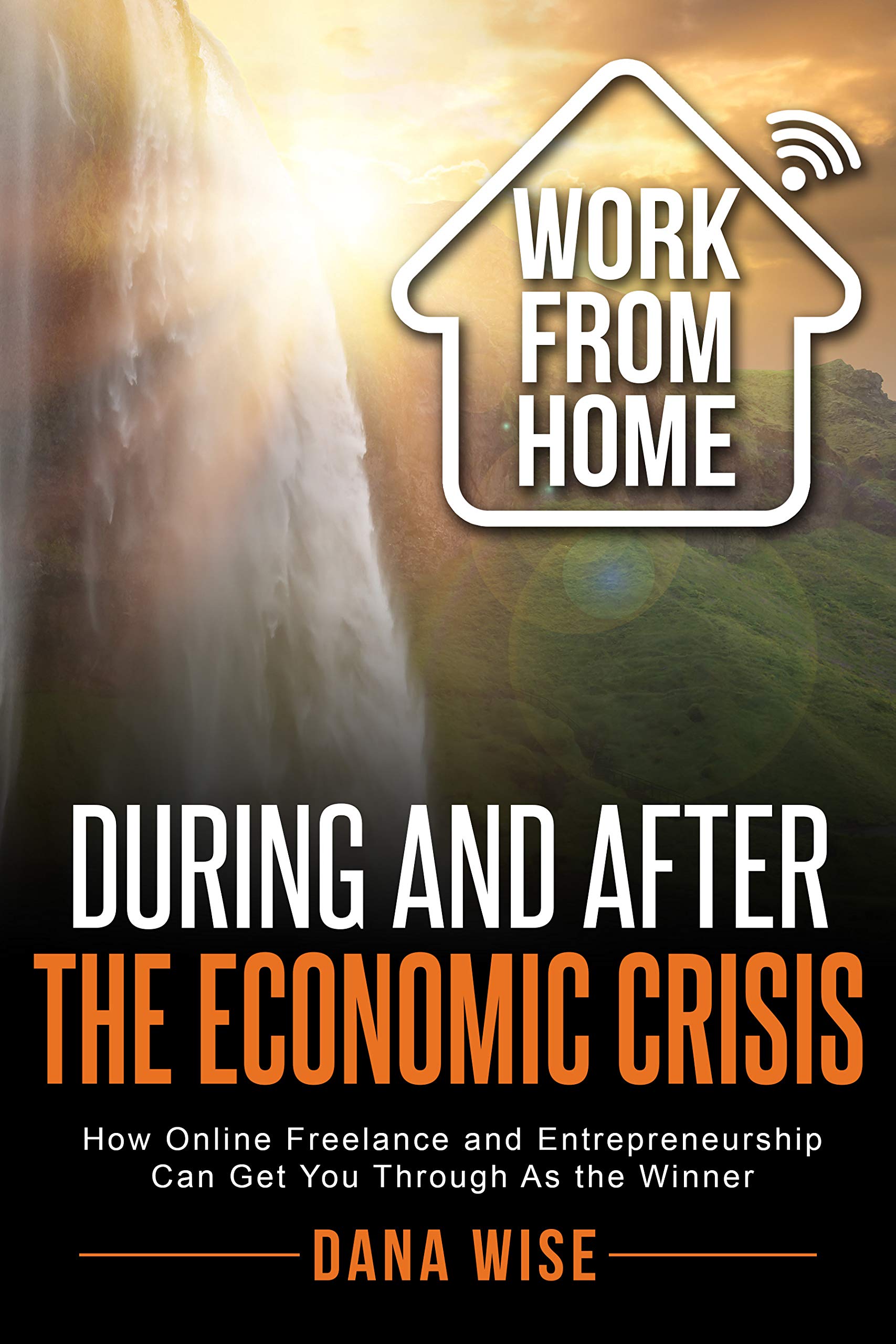 Work from Home During and After the Economic Crisis: How Online ...