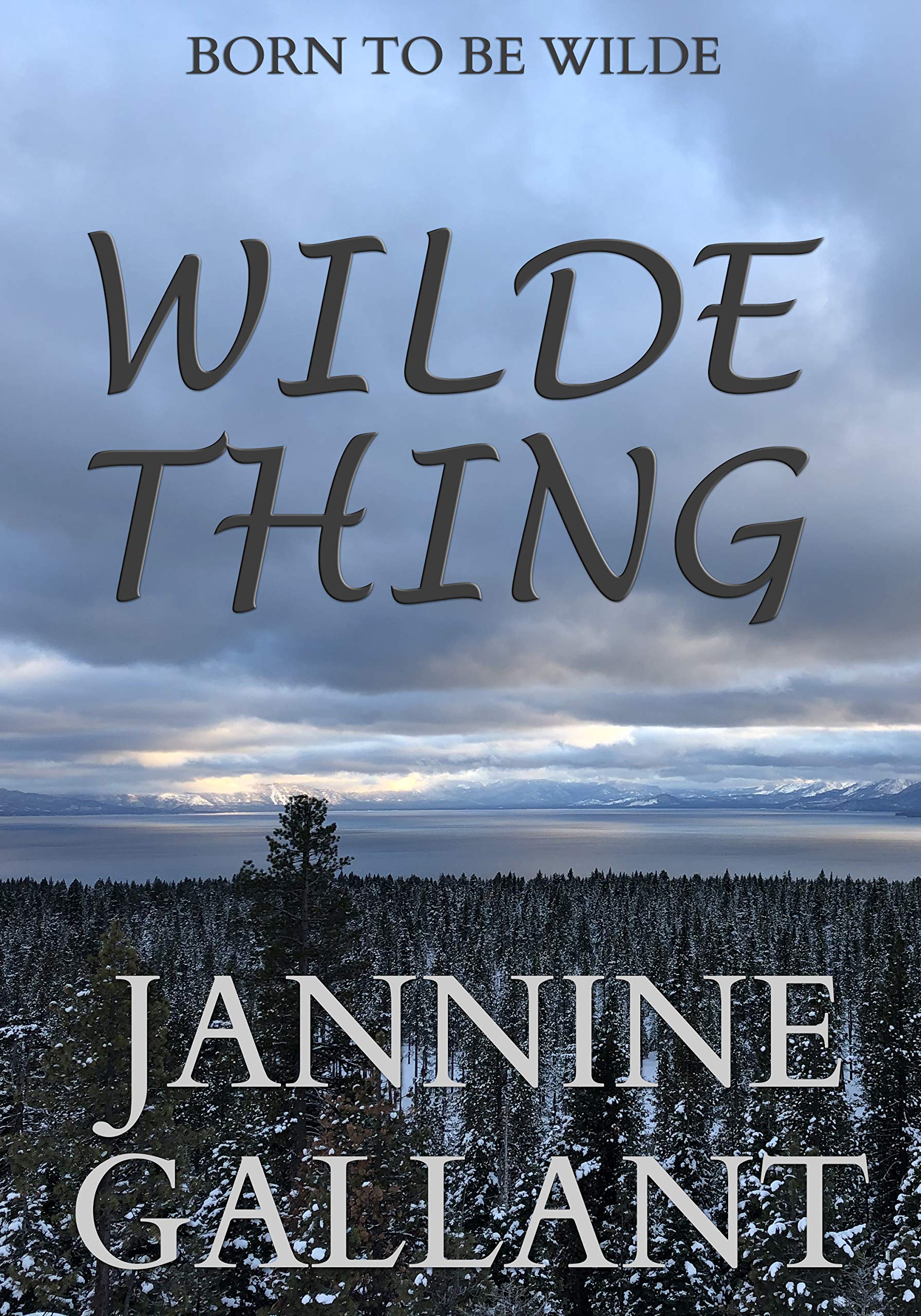 Wilde Thing (Born to be Wilde, #3) by Jannine Gallant | Goodreads