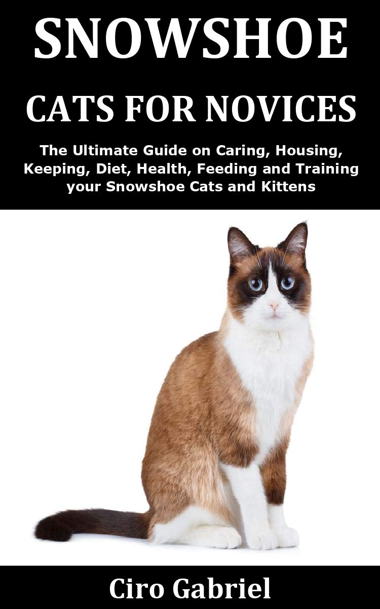Snowshoe Cats for Novices: The Ultimate Guide on Caring, Housing ...