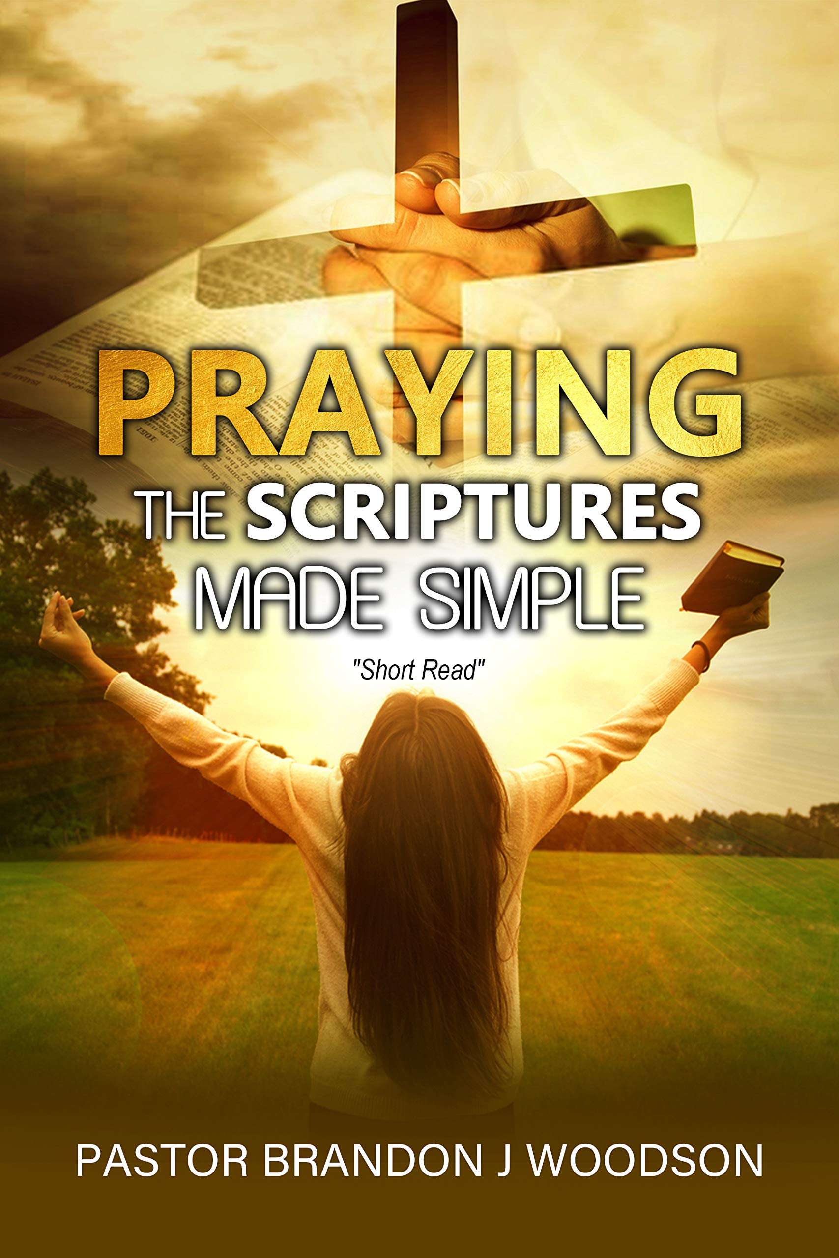 Praying the Scriptures Made Simple by Brandon Woodson | Goodreads