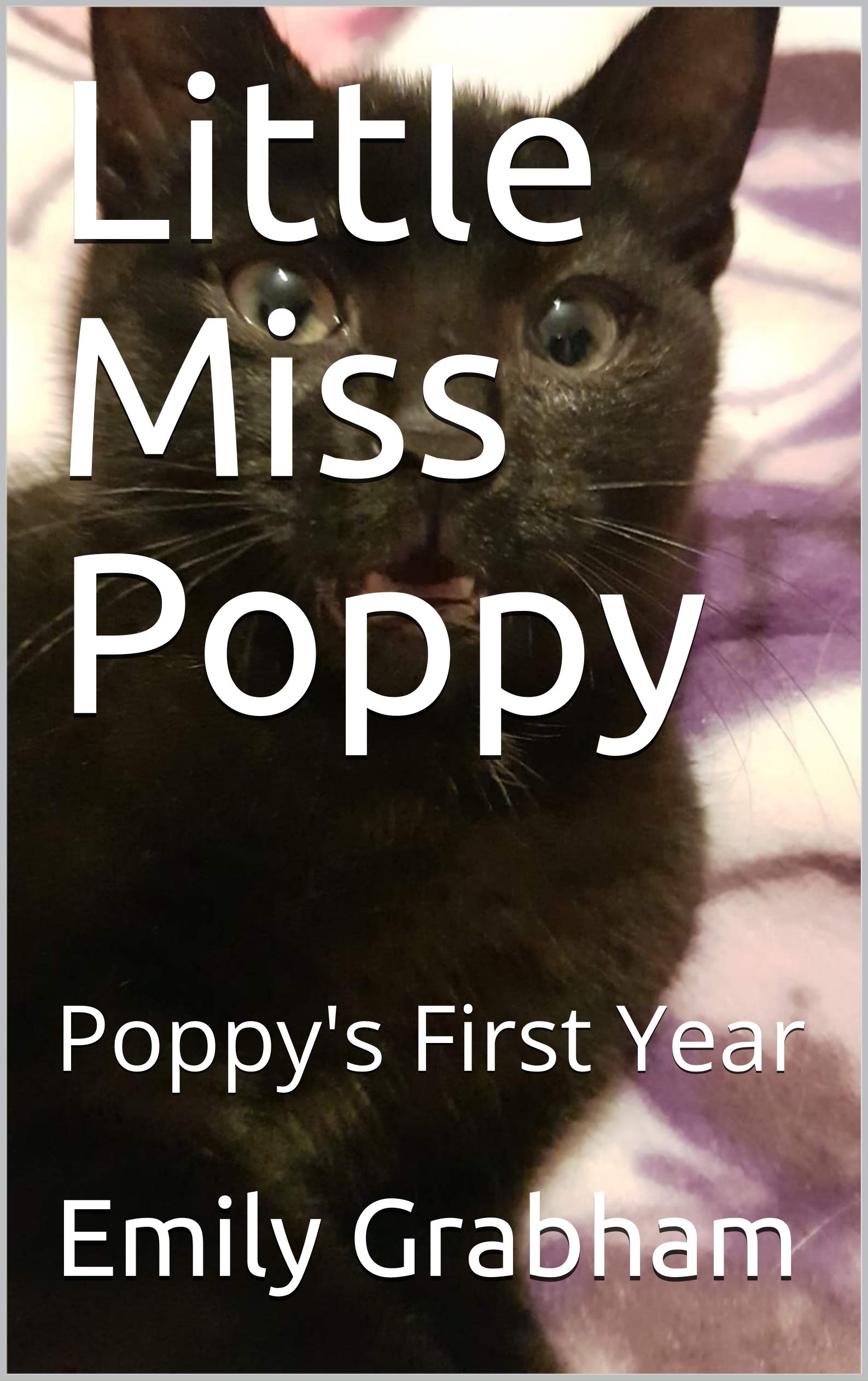 Little Miss Poppy: Poppy's First Year (1) by Emily Grabham | Goodreads