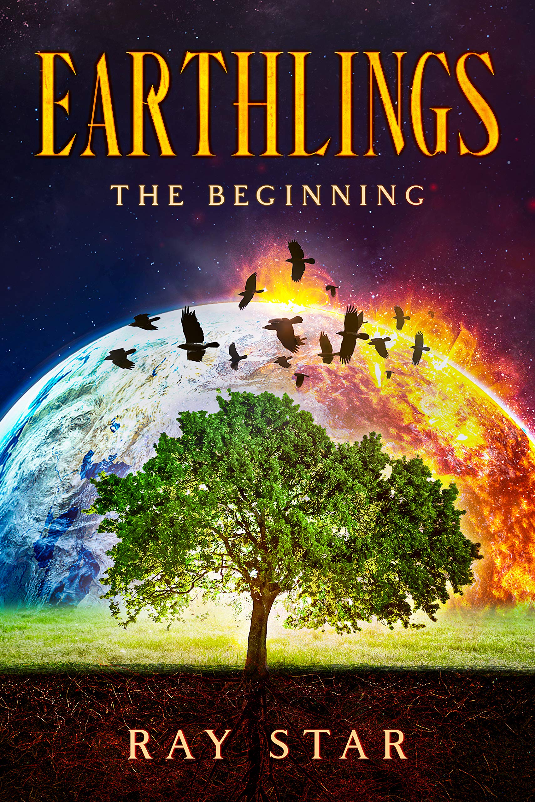 Earthlings: The Beginning (Earthlings Trilogy Book 1) by Ray Star ...