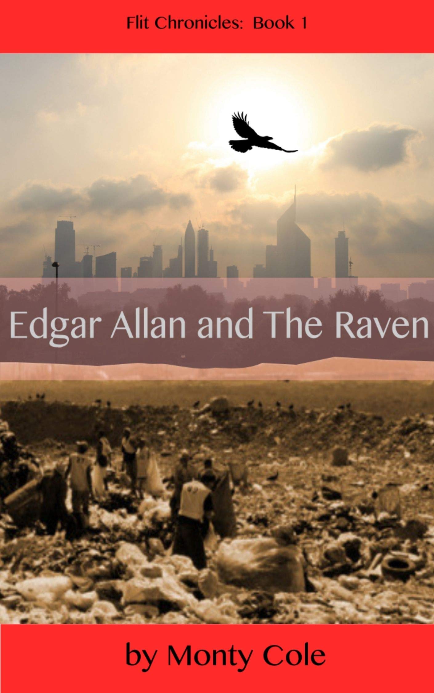 Edgar Allan and The Raven (Flit Chronicles Book 1) by Monty Cole ...