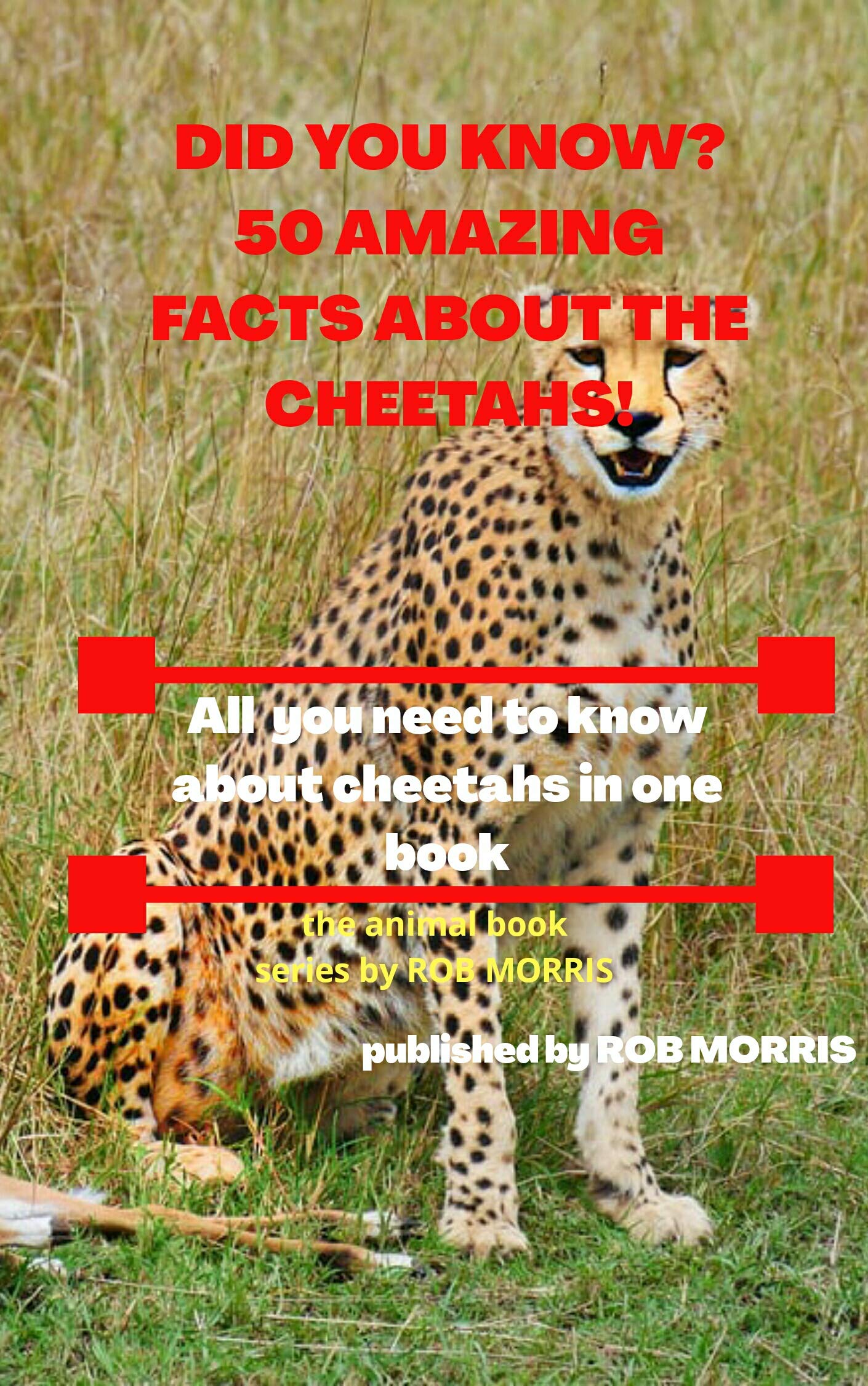 DID YOU KNOW? 50 AMAZING FACTS ABOUT THE CHEETAHS!: Interesting facts ...