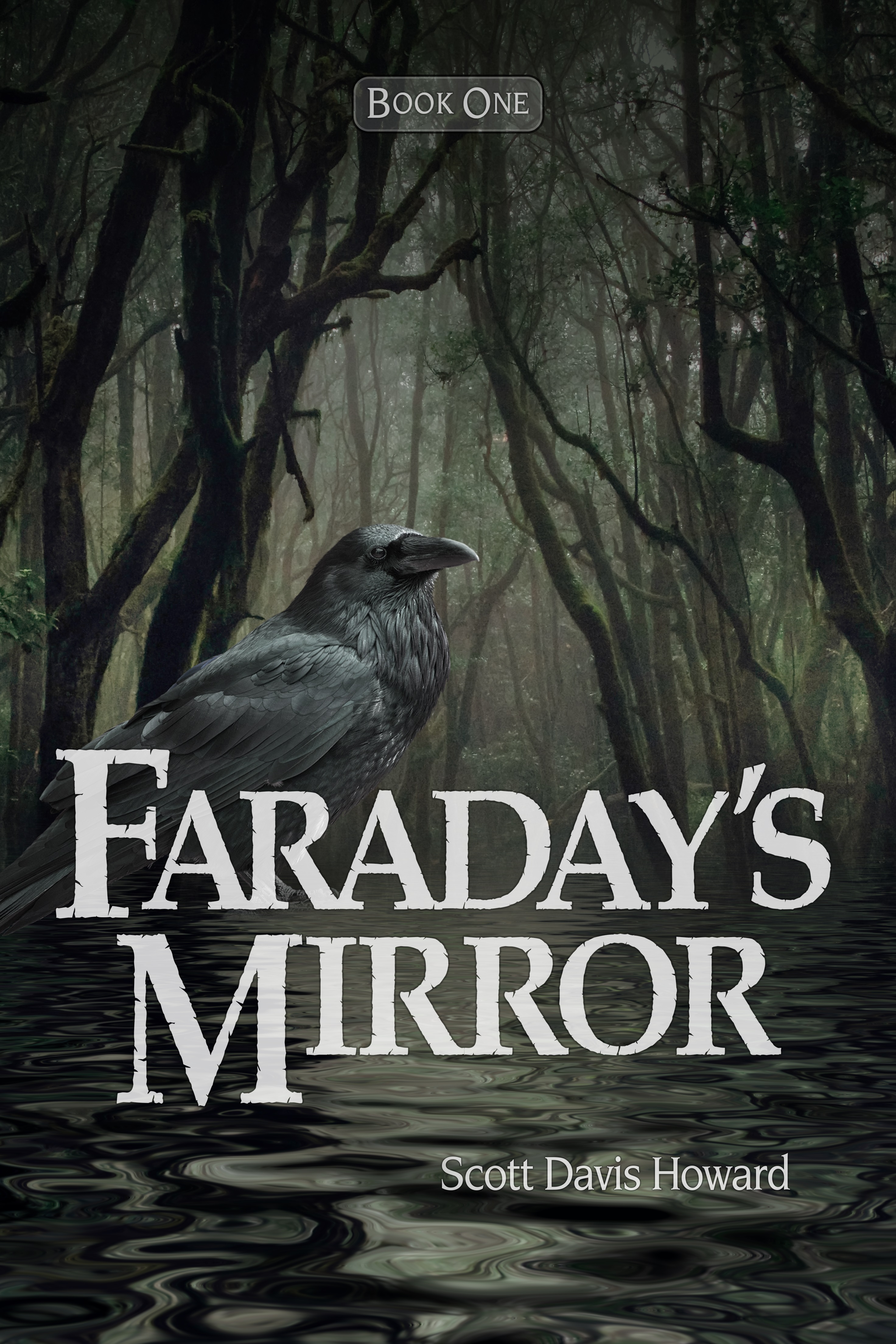 Faraday's Mirror (Faraday's Mirror, #1) by Scott Davis Howard | Goodreads