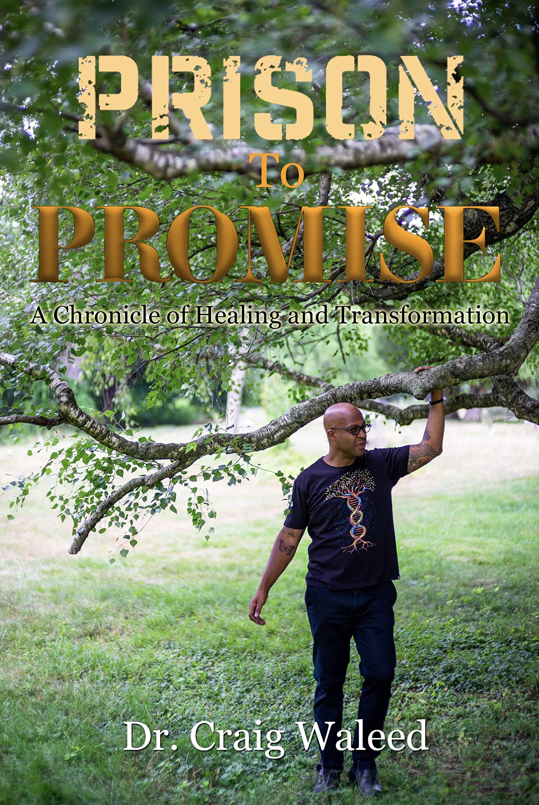 Prison to Promise: A Chronicle of Healing and Transformation by Craig ...