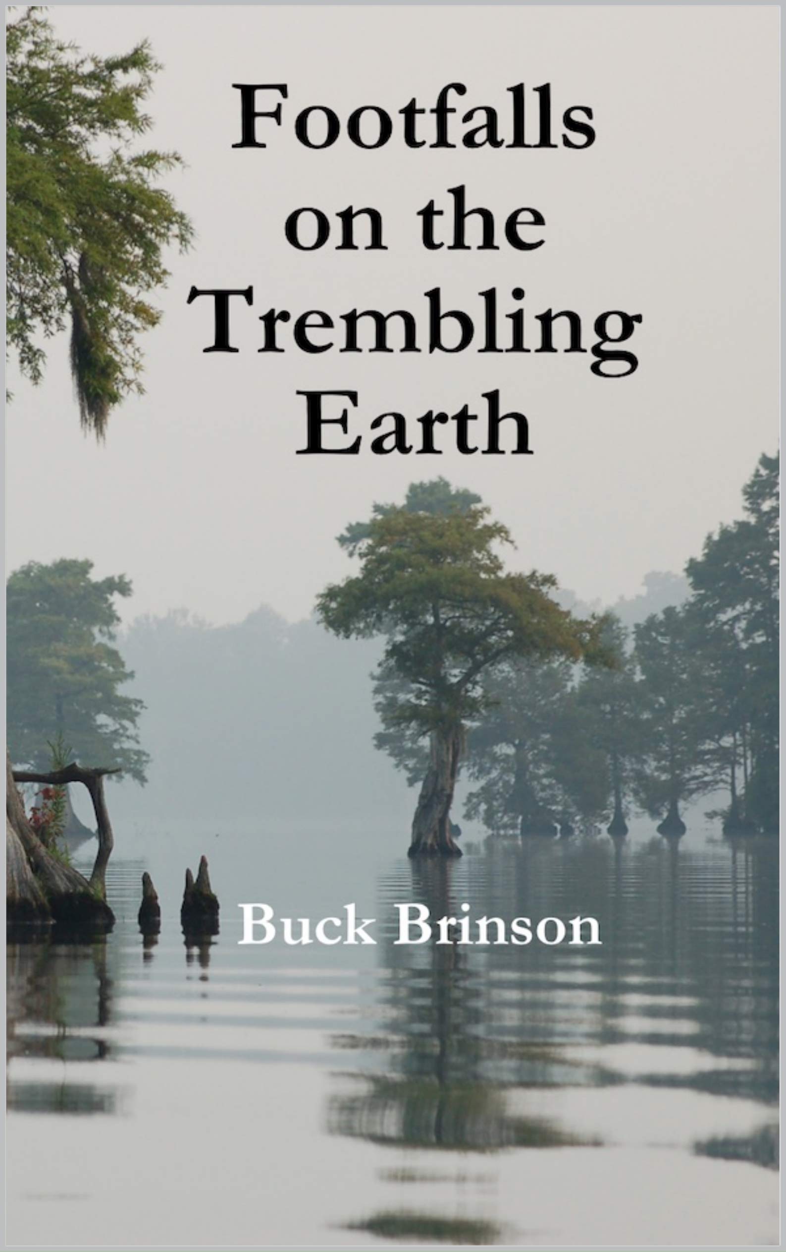 Footfalls on the Trembling Earth by Buck Brinson | Goodreads