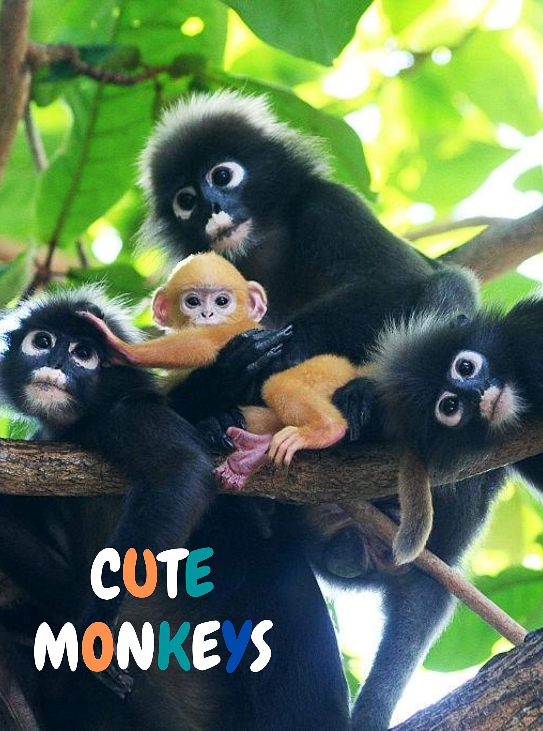 Cute Monkeys: A Great Picture Book for Kids with Interesting Facts ...