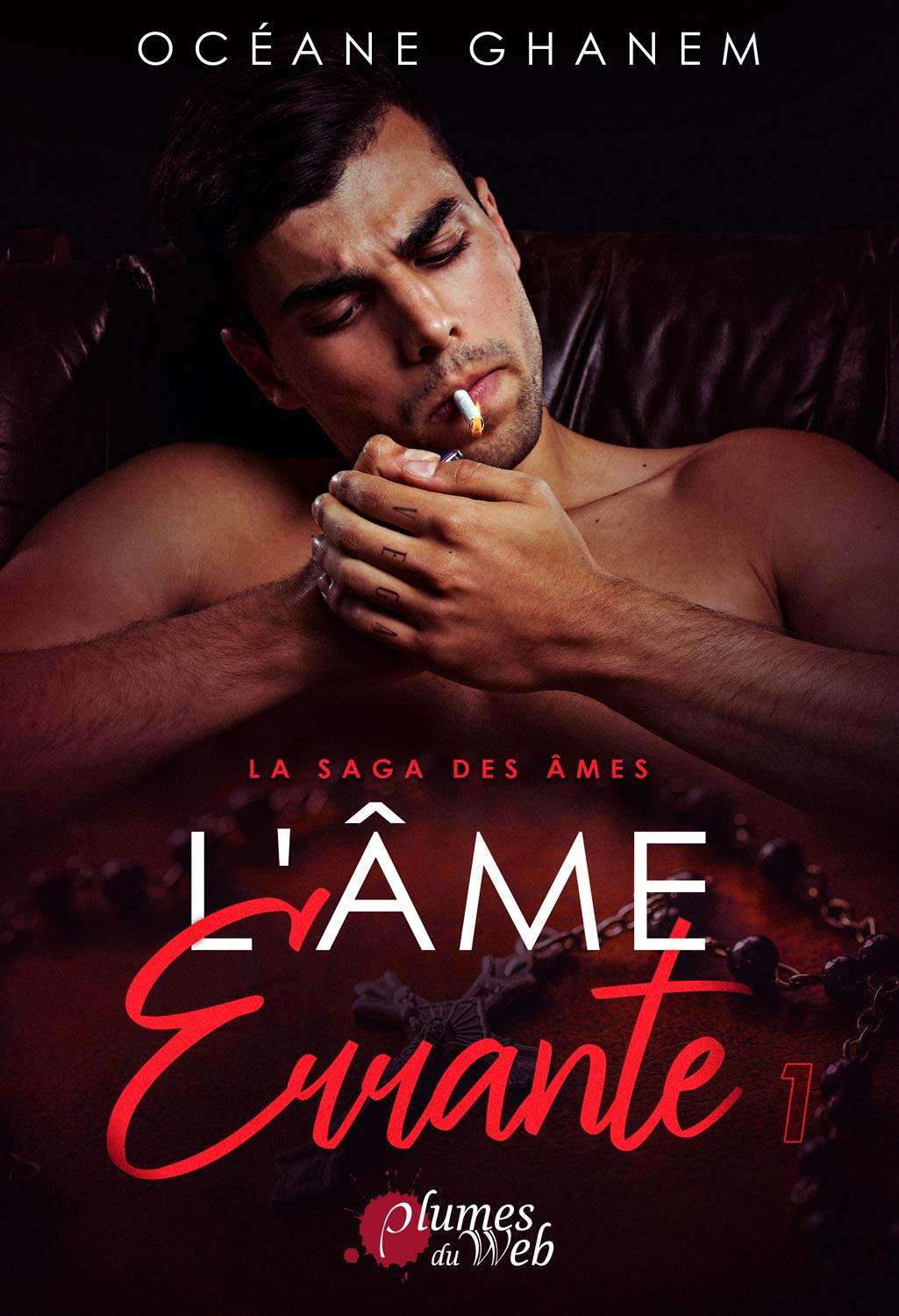 L'Âme Errante 1 (La saga des Âmes t. 3) by Océane Ghanem | Goodreads