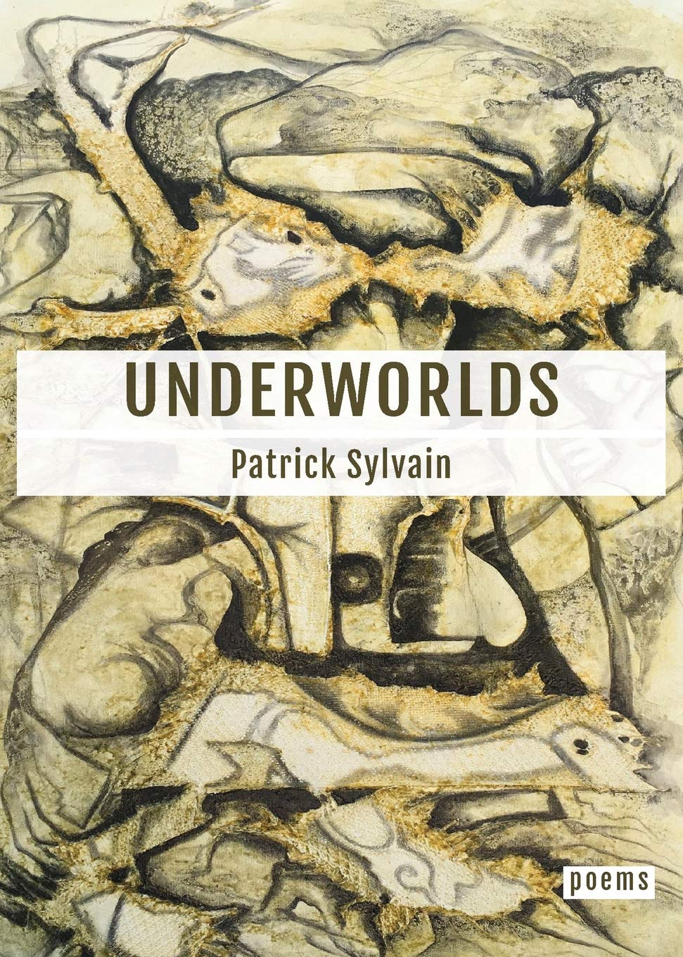 Underworlds by Patrick Sylvain | Goodreads
