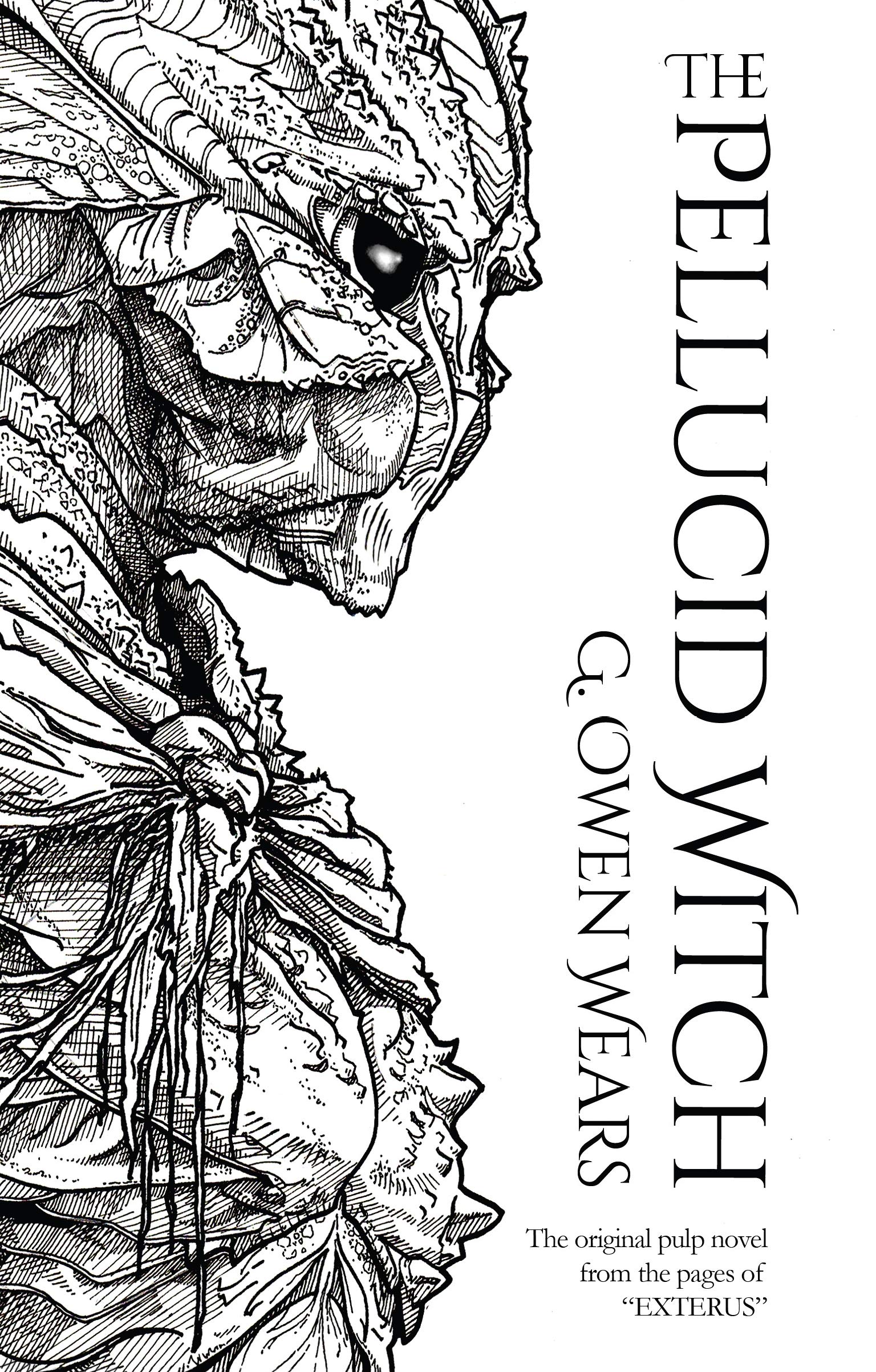 The Pellucid Witch by G. Owen Wears | Goodreads