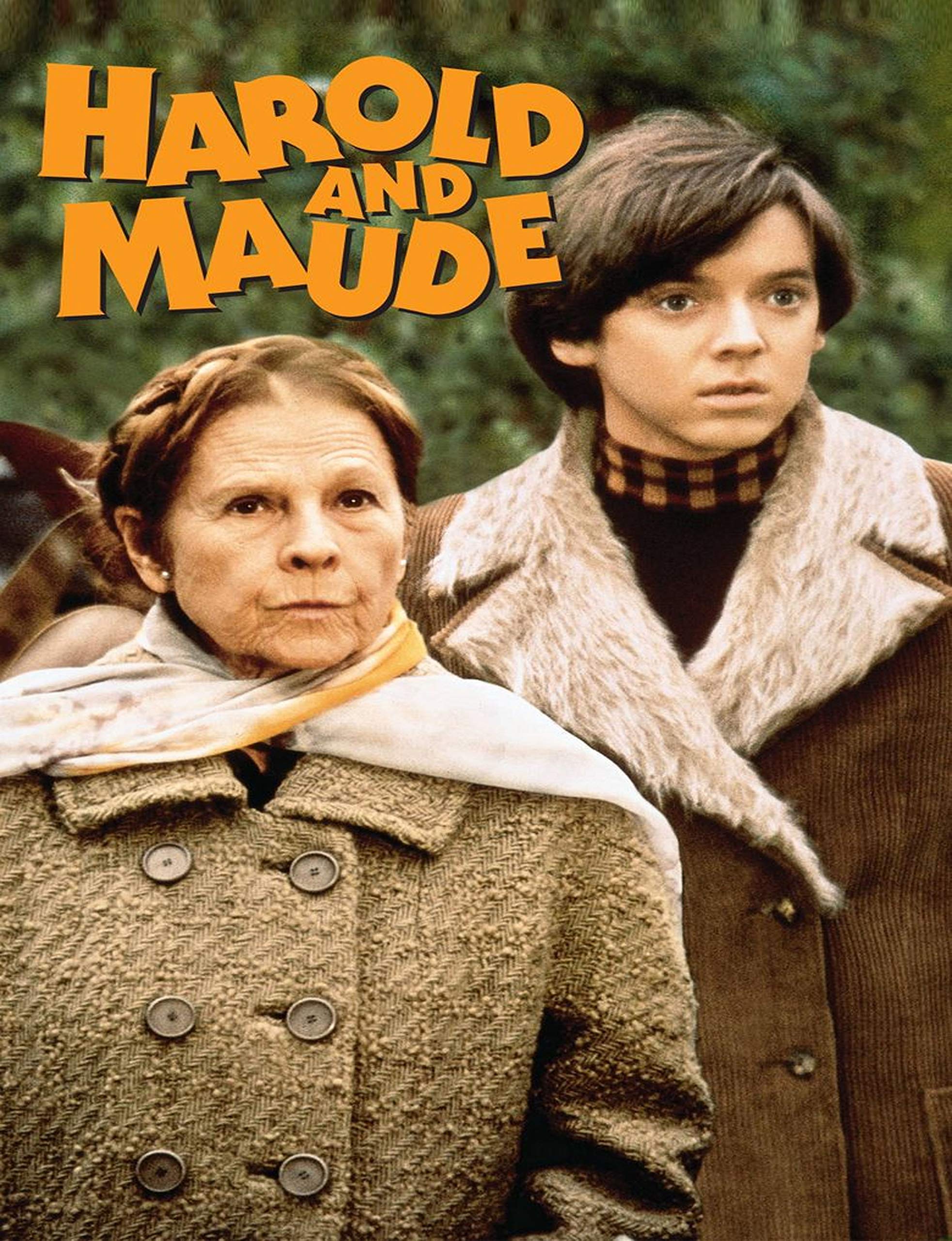 Harold and Maude: Screenplay by Colin Higgins | Goodreads