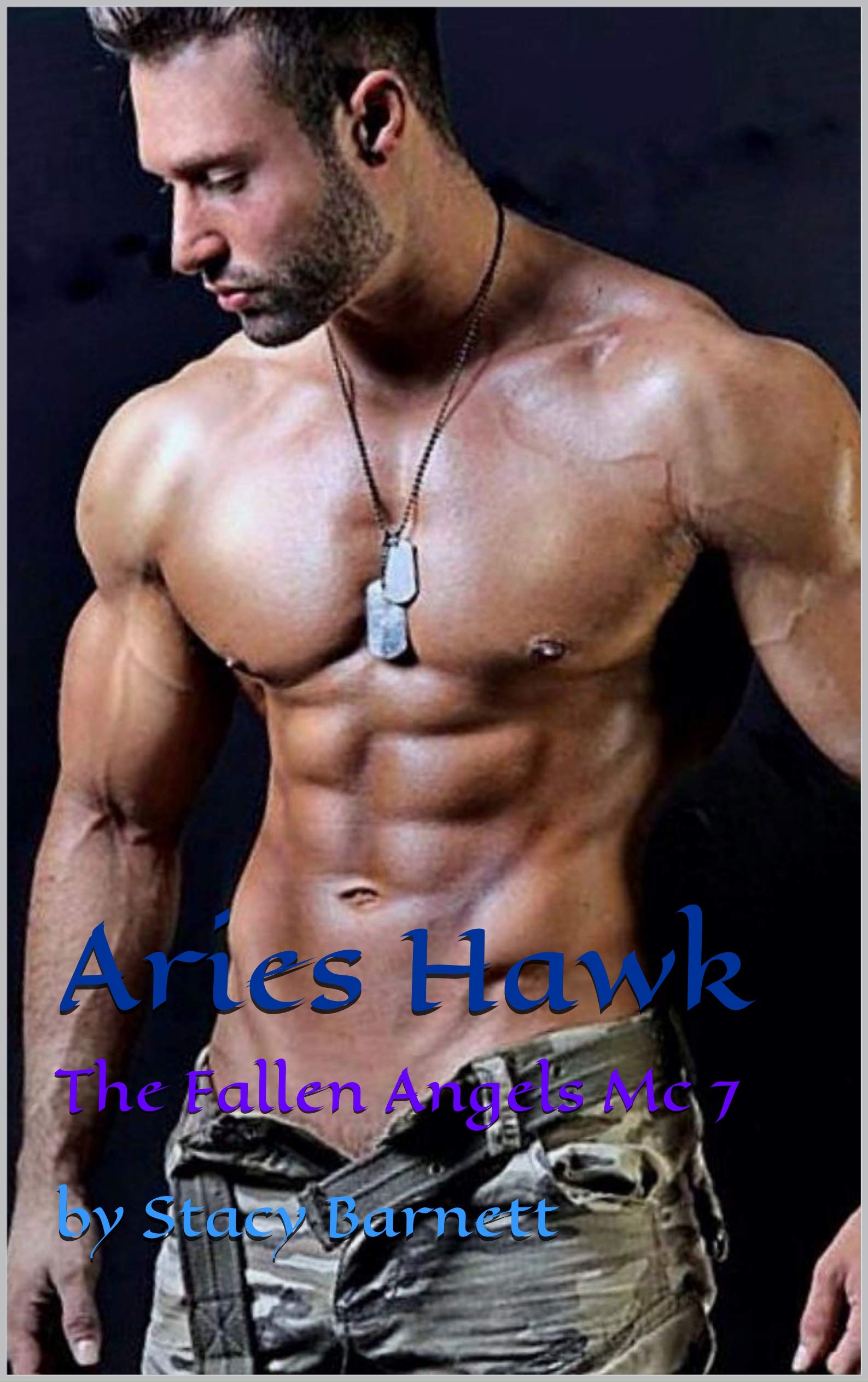 Aries Hawk (The Fallen Angels Mc #7) by Stacy Barnett | Goodreads