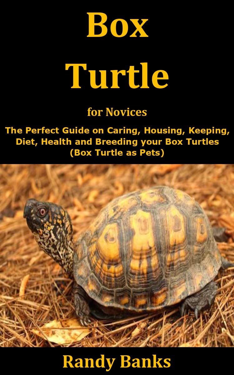 Box Turtle for Novices: The Perfect Guide on Caring, Housing, Keeping ...