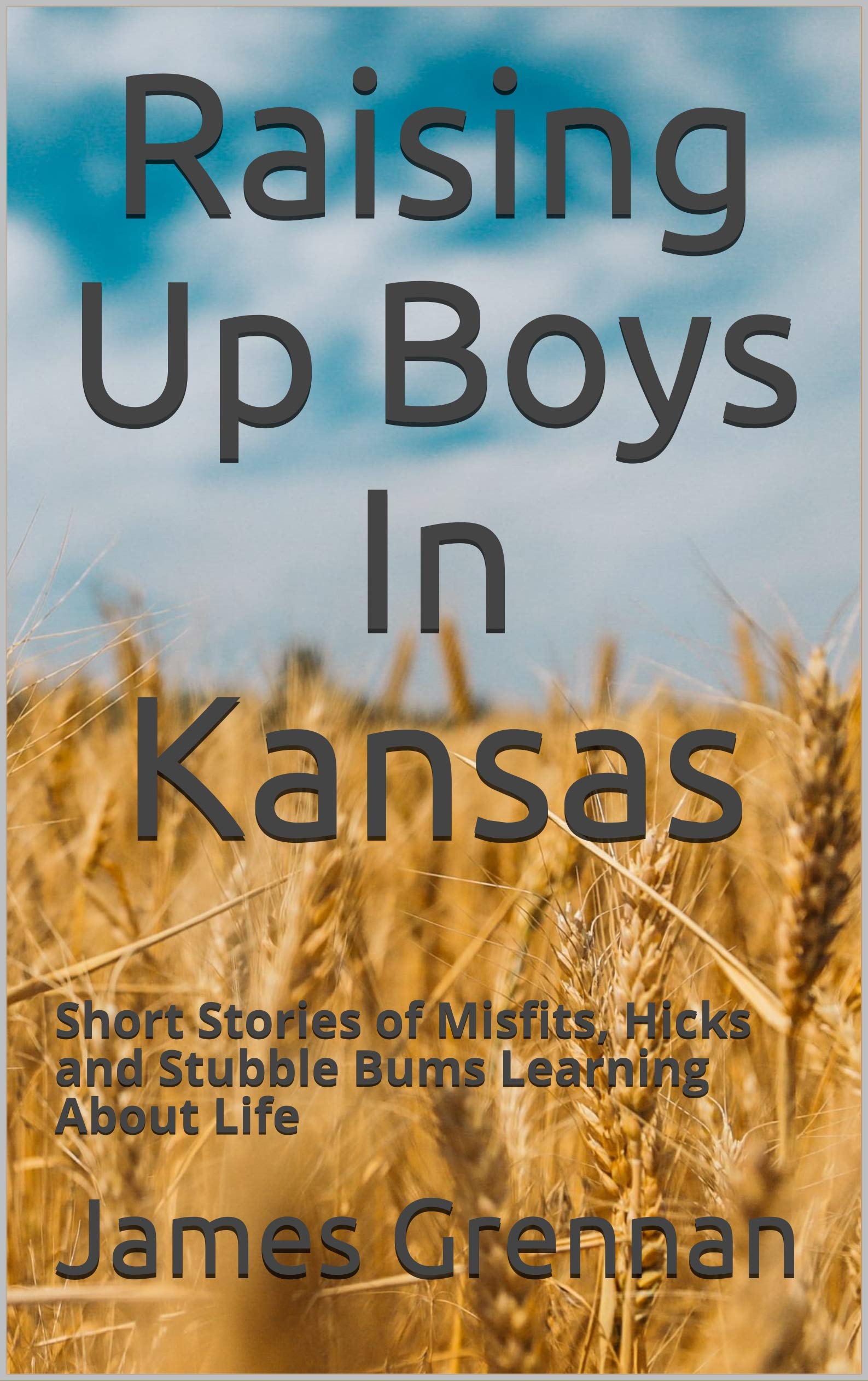 Raising Up Boys In Kansas: Short Stories of Misfits, Hicks and Stubble ...