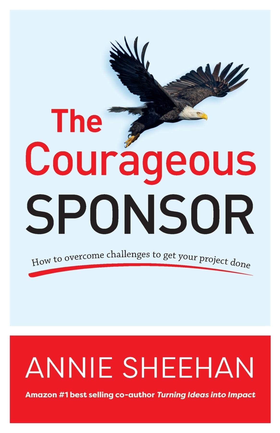 The Courageous Sponsor: How to overcome challenges to get your project ...