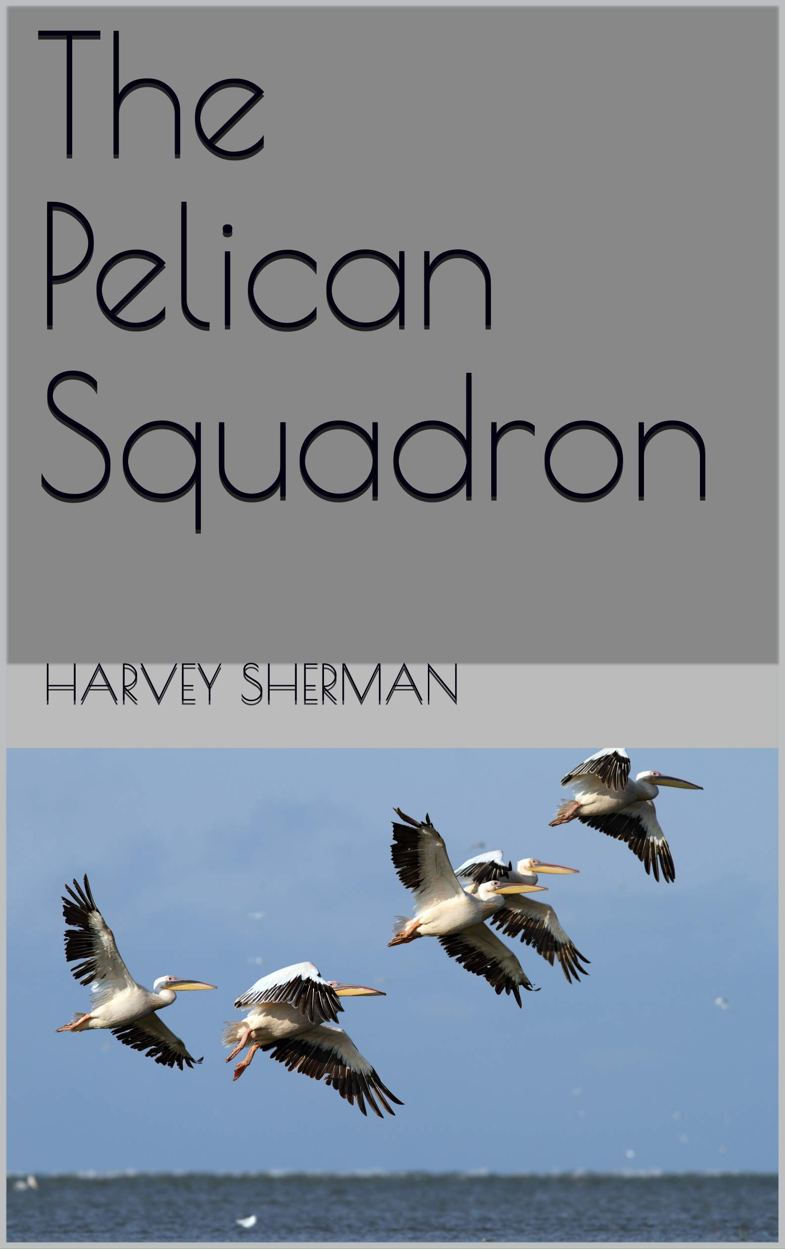 The Pelican Squadron: A Tale of Intrigue, Revenge, and Redemption in ...