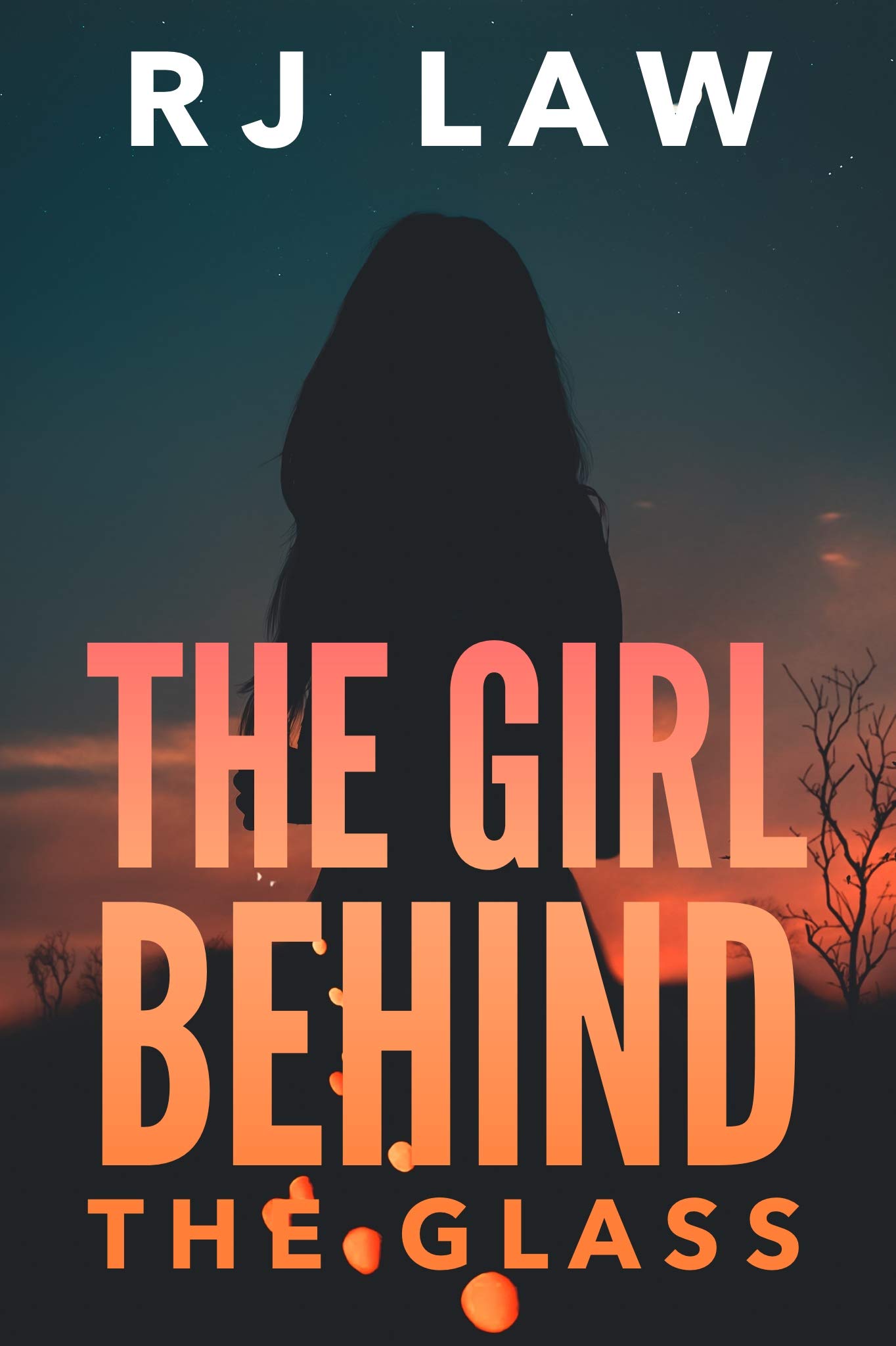 The Girl Behind the Glass (Claire Foley Book 4) by R.J. Law | Goodreads