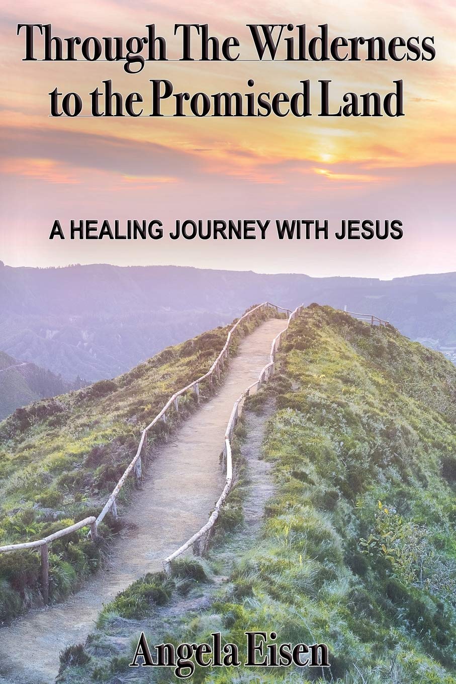 Through The Wilderness to the Promised Land: A healing journey with ...