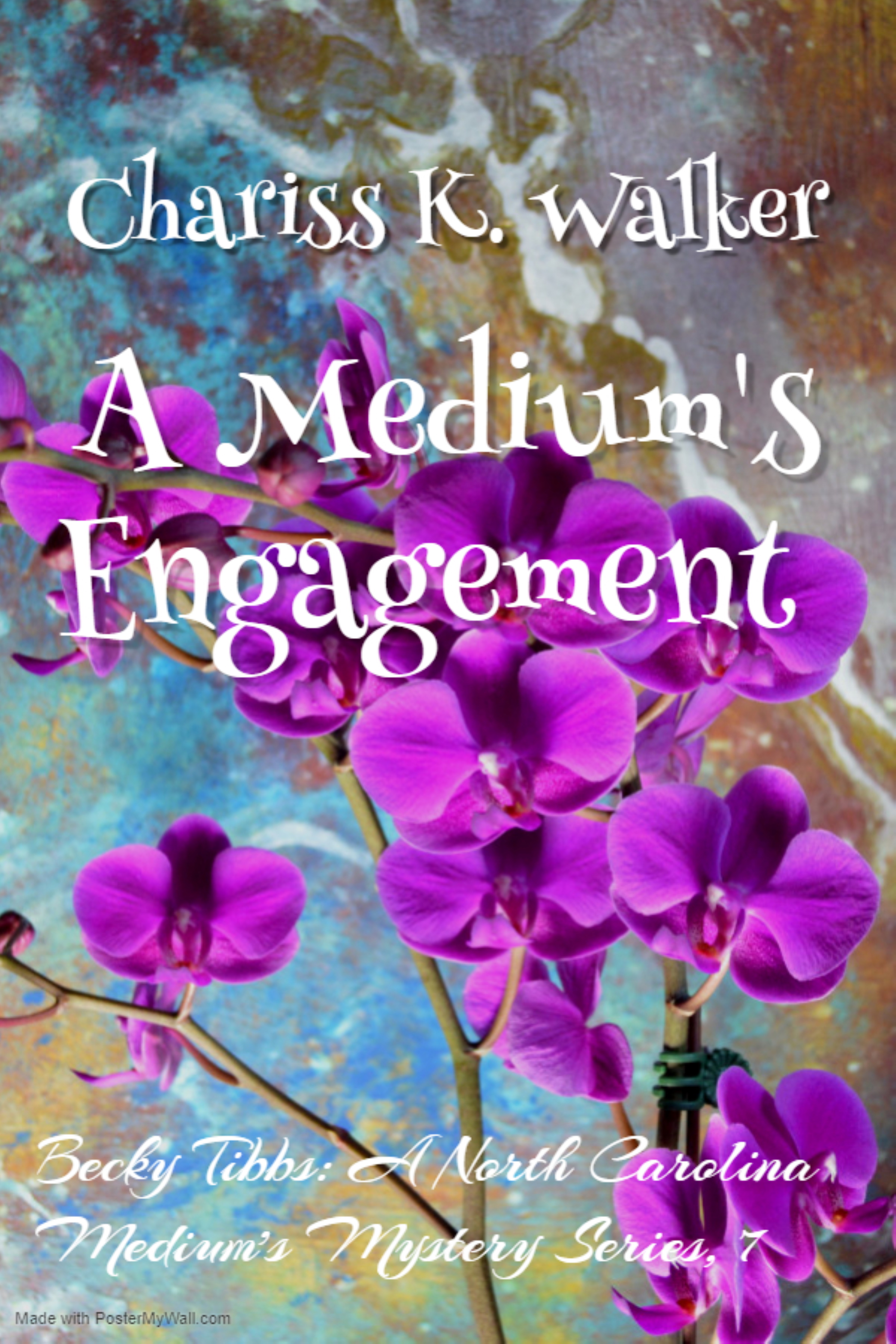 A Medium's Engagement by Chariss K. Walker | Goodreads