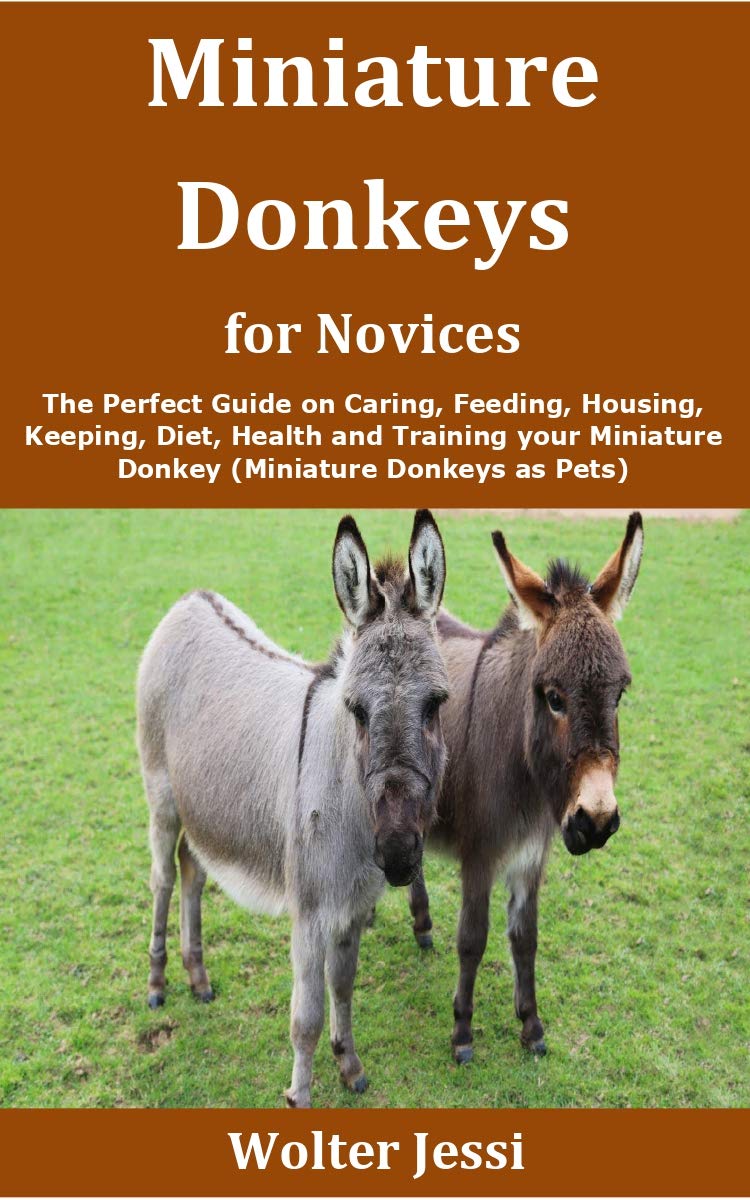 Miniature Donkeys for Novices: The Perfect Guide on Caring, Feeding ...