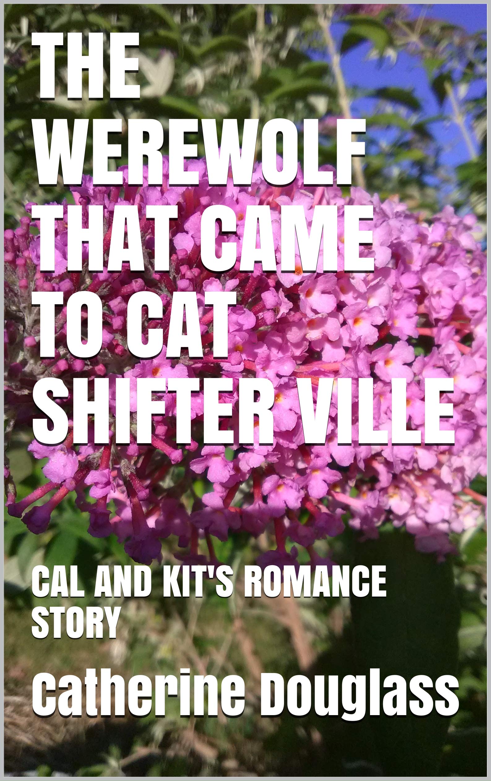 THE WEREWOLF THAT CAME TO CAT SHIFTER VILLE: CAL AND KIT'S ROMANCE ...