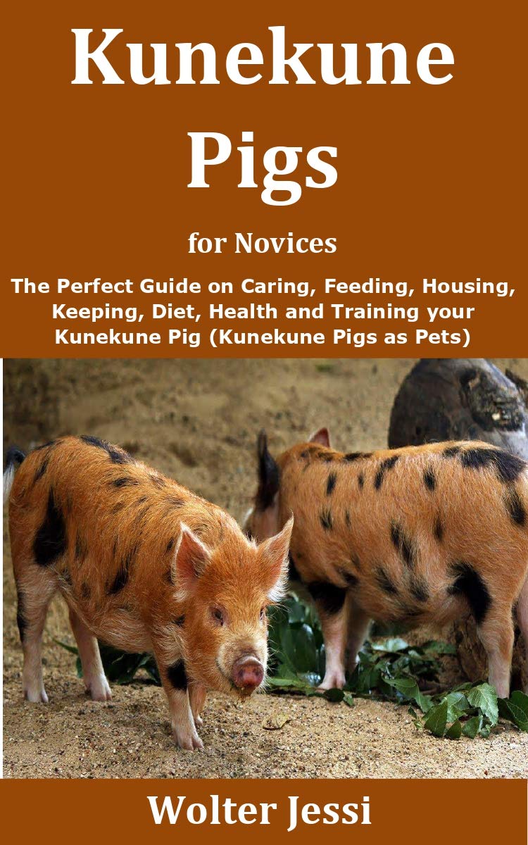 Kunekune Pigs for Novices: The Perfect Guide on Caring, Feeding, Housing, Keeping, Diet, Health ...