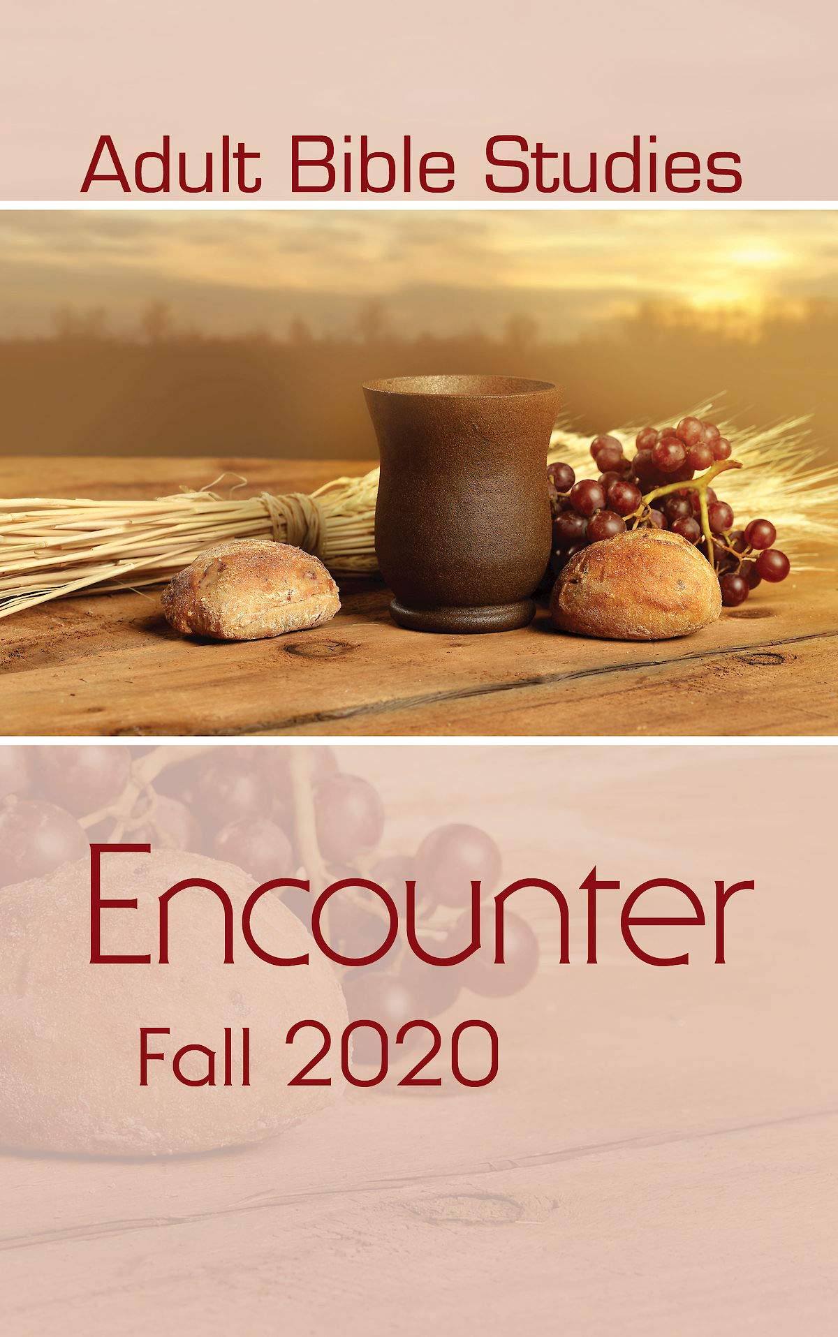 Adult Bible Studies Fall 2020 Student: Encounter by Charles Aaron ...
