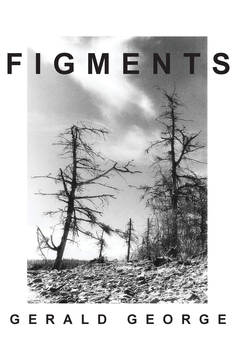 Figments by Gerald George | Goodreads