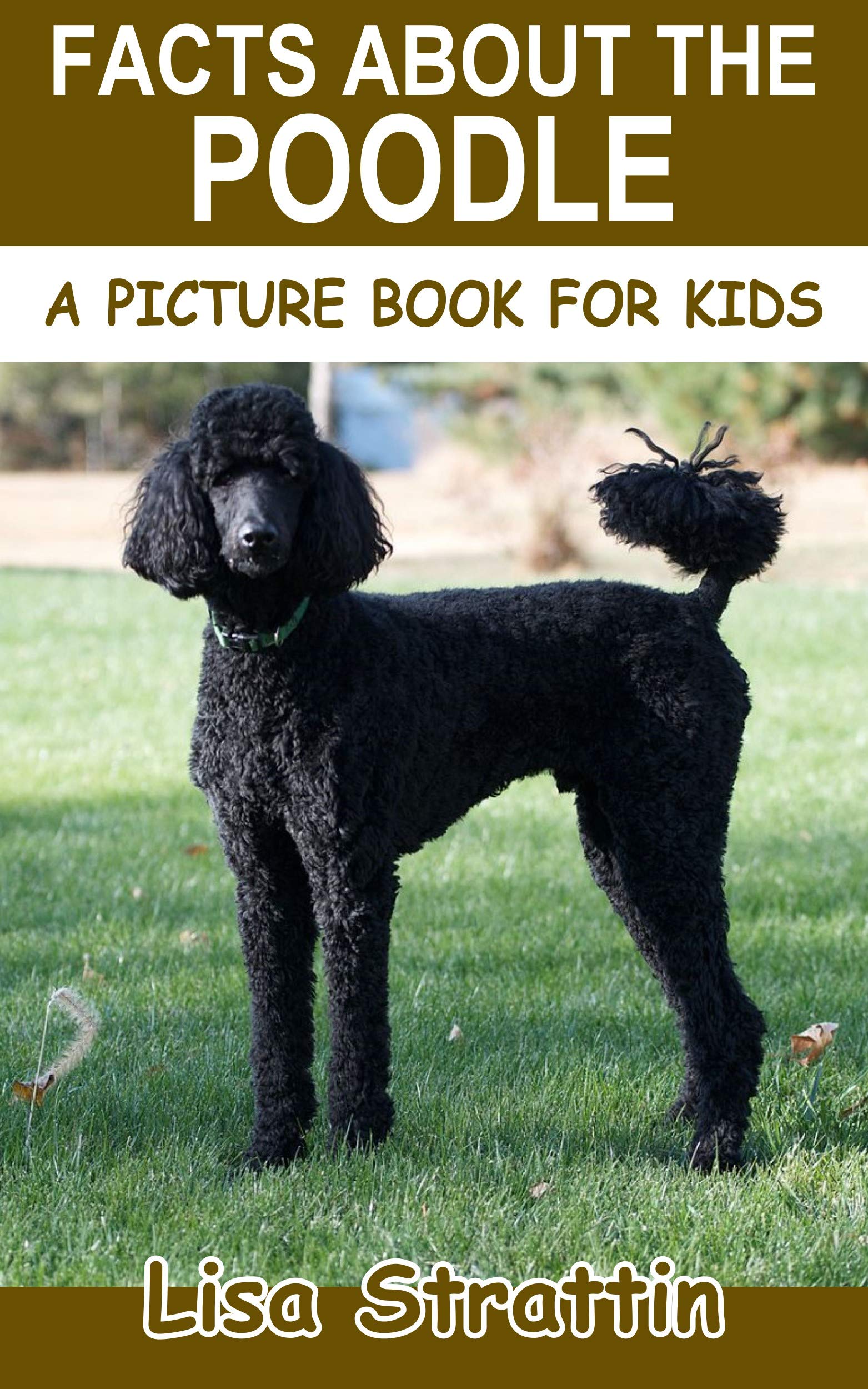 Facts About the Poodle (A Picture Book For Kids 267) by Lisa Strattin ...