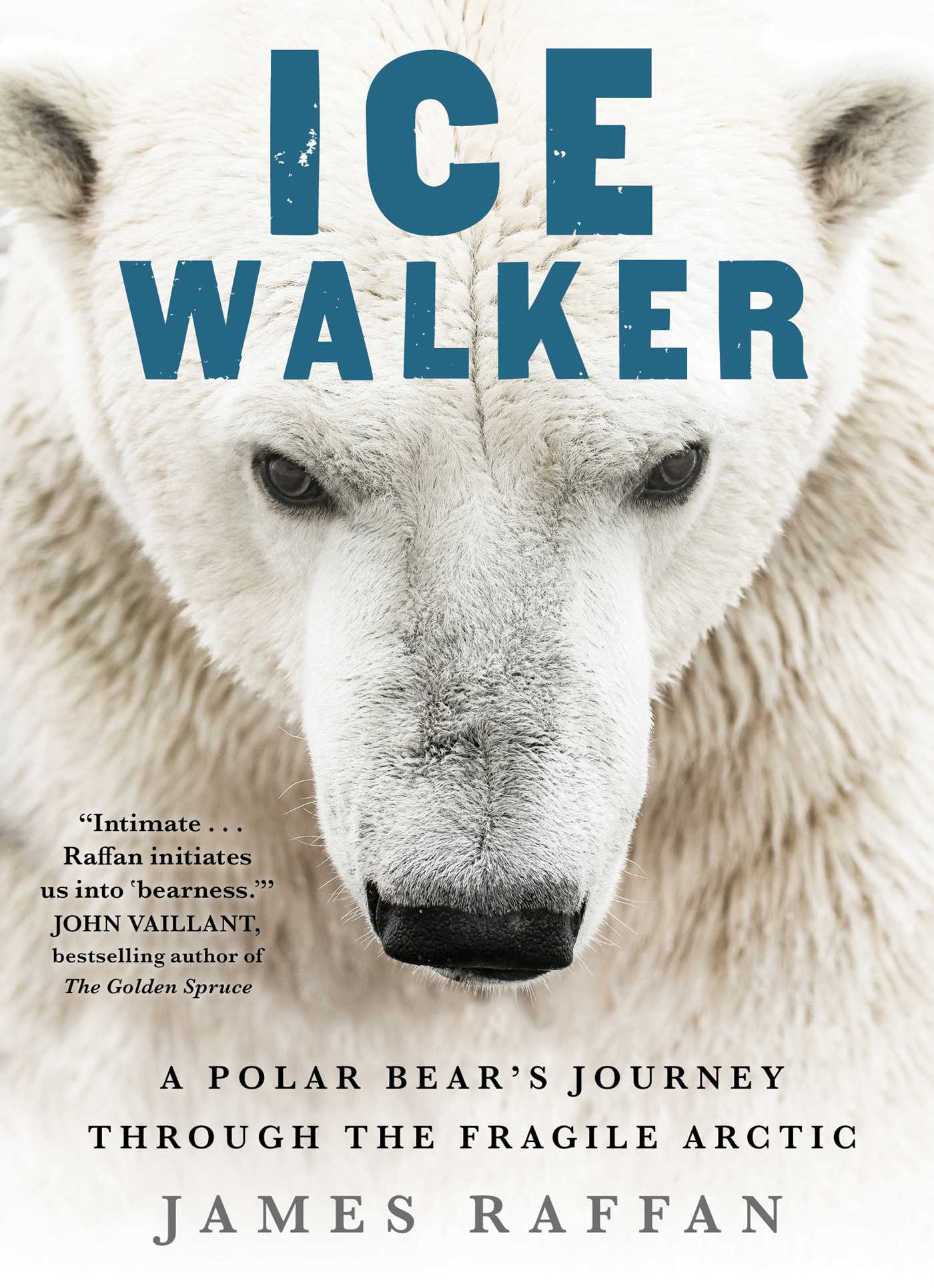 Ice Walker: A Polar Bear's Journey through the Fragile Arctic by James ...