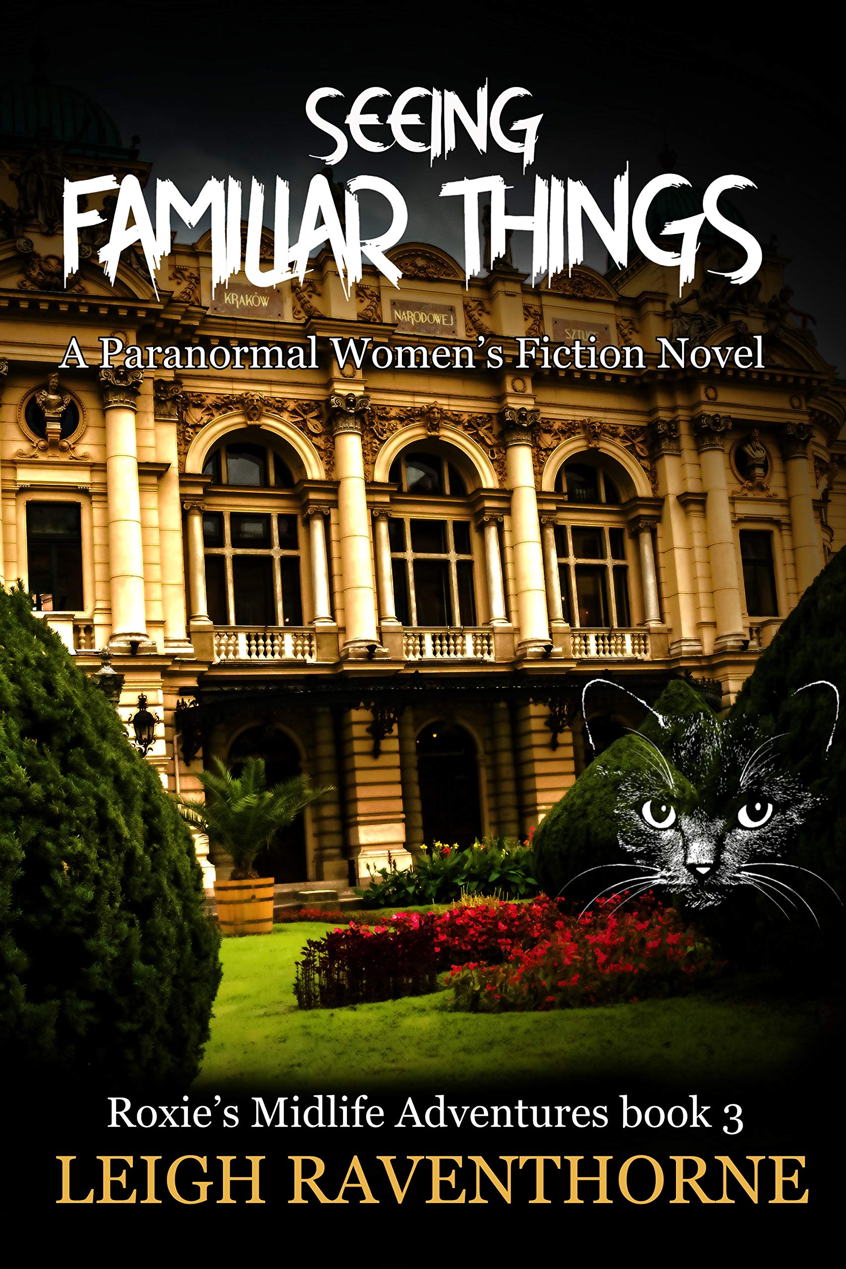 Seeing Familiar Things by Leigh Raventhorne | Goodreads