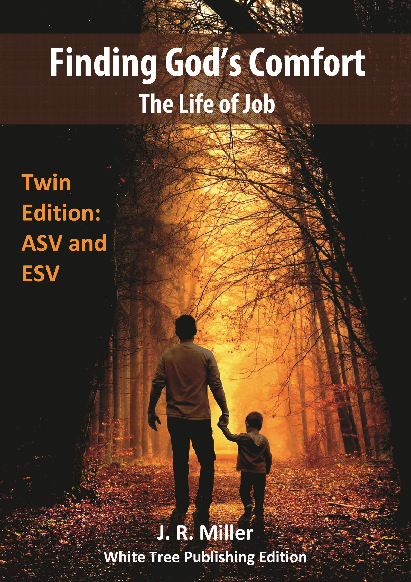 Finding God’s Comfort: The Life of Job by J.R. Miller | Goodreads
