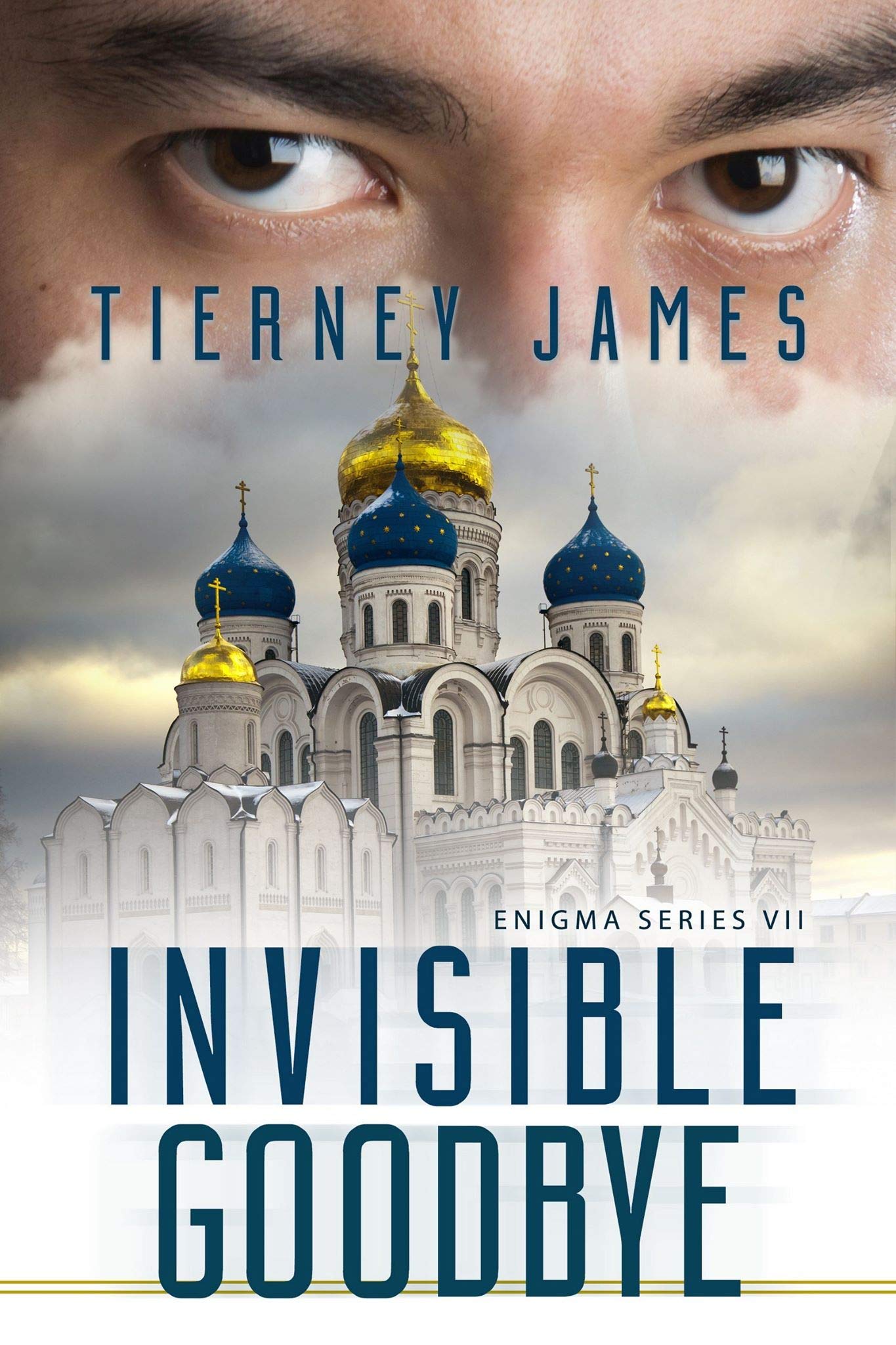 Invisible Goodbye (Enigma Series Book 7) by Tierney James | Goodreads