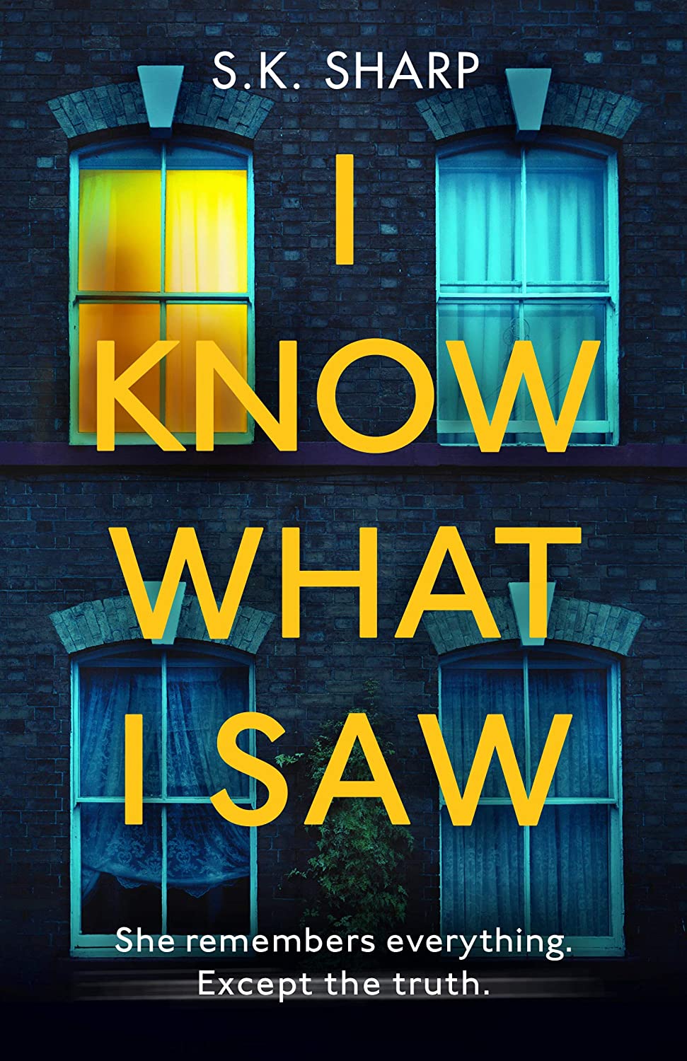 I Know What I Saw By S K Sharp Goodreads