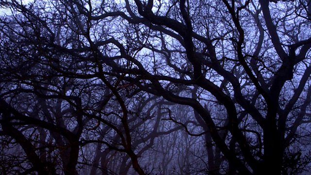 Fat Andy by Stephen Dunstone | Goodreads