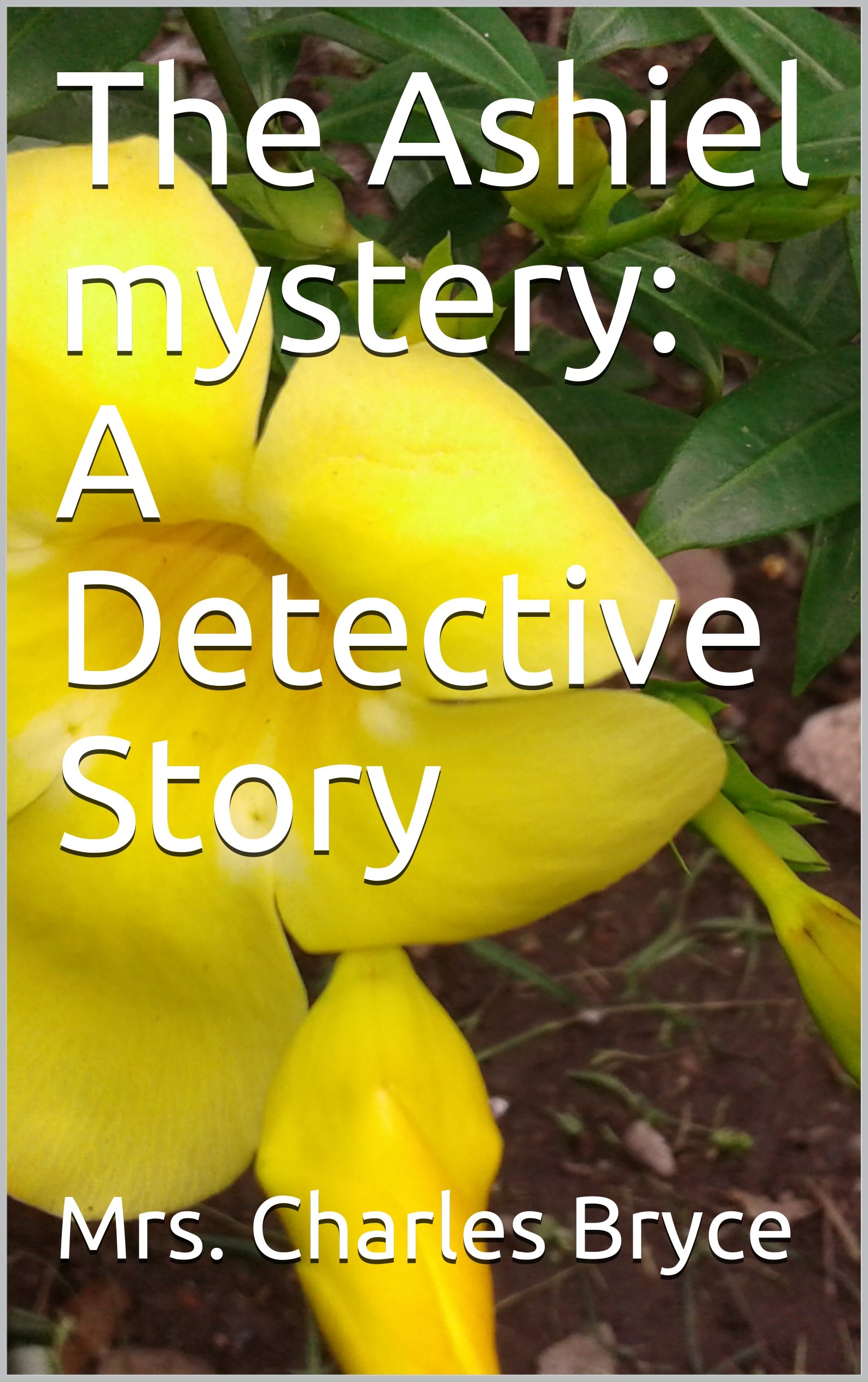 The Ashiel mystery: A Detective Story by Mrs. Charles Bryce | Goodreads