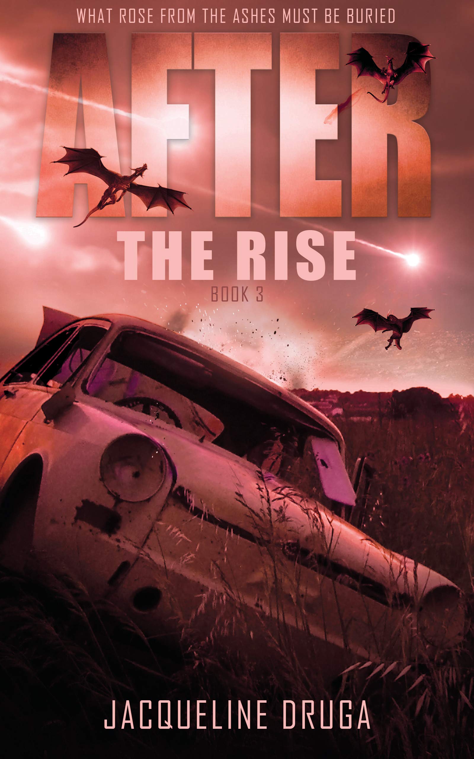 After the Rise: Book Three (Rise Series 6) by Jacqueline Druga | Goodreads
