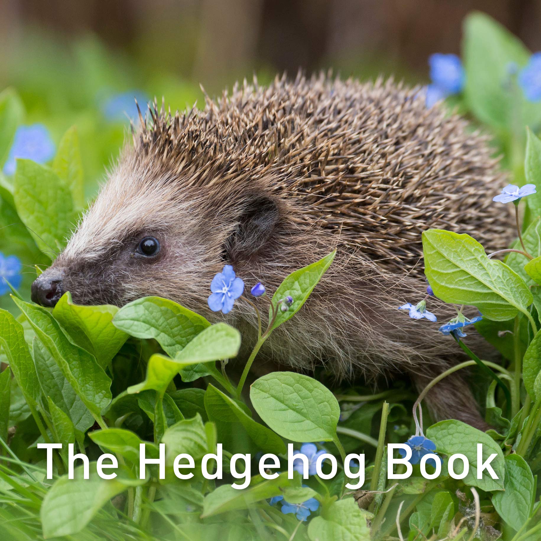 The Hedgehog Book (The Nature Book Series 7) by Hugh Warwick | Goodreads
