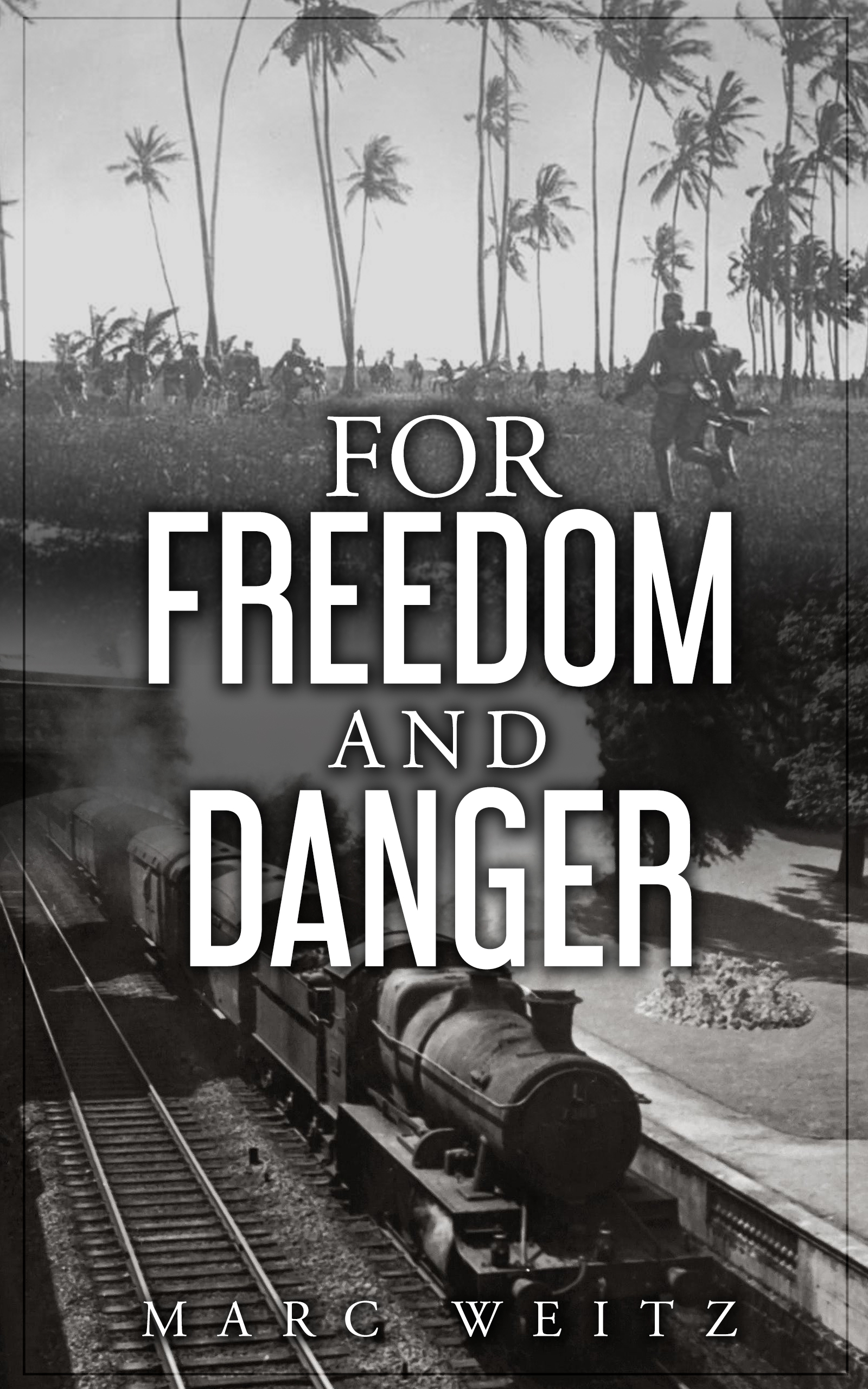 For Freedom and Danger: A World War One Novel by Marc Weitz | Goodreads