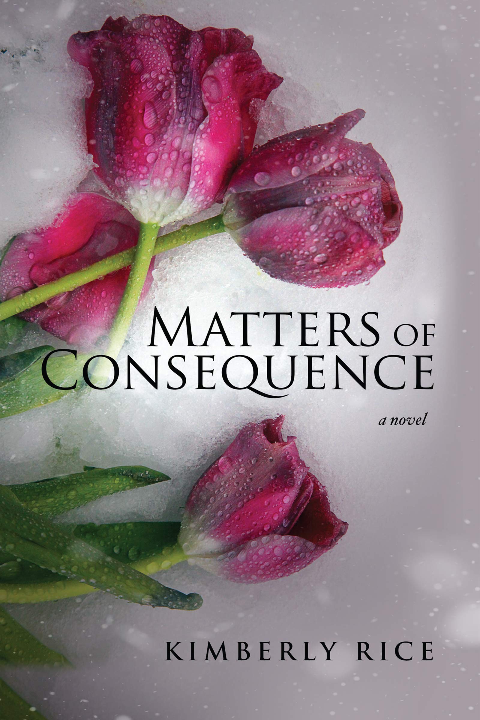 Matters of Consequence by Kimberly Rice | Goodreads