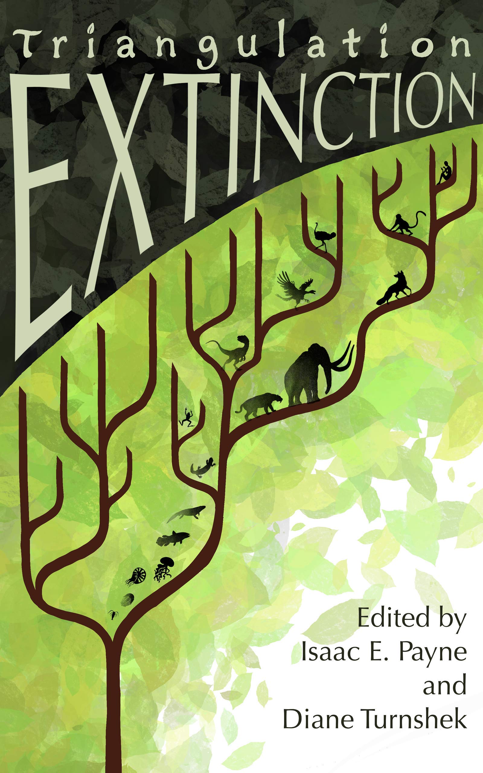 Triangulation: Extinction by Isaac E. Payne | Goodreads