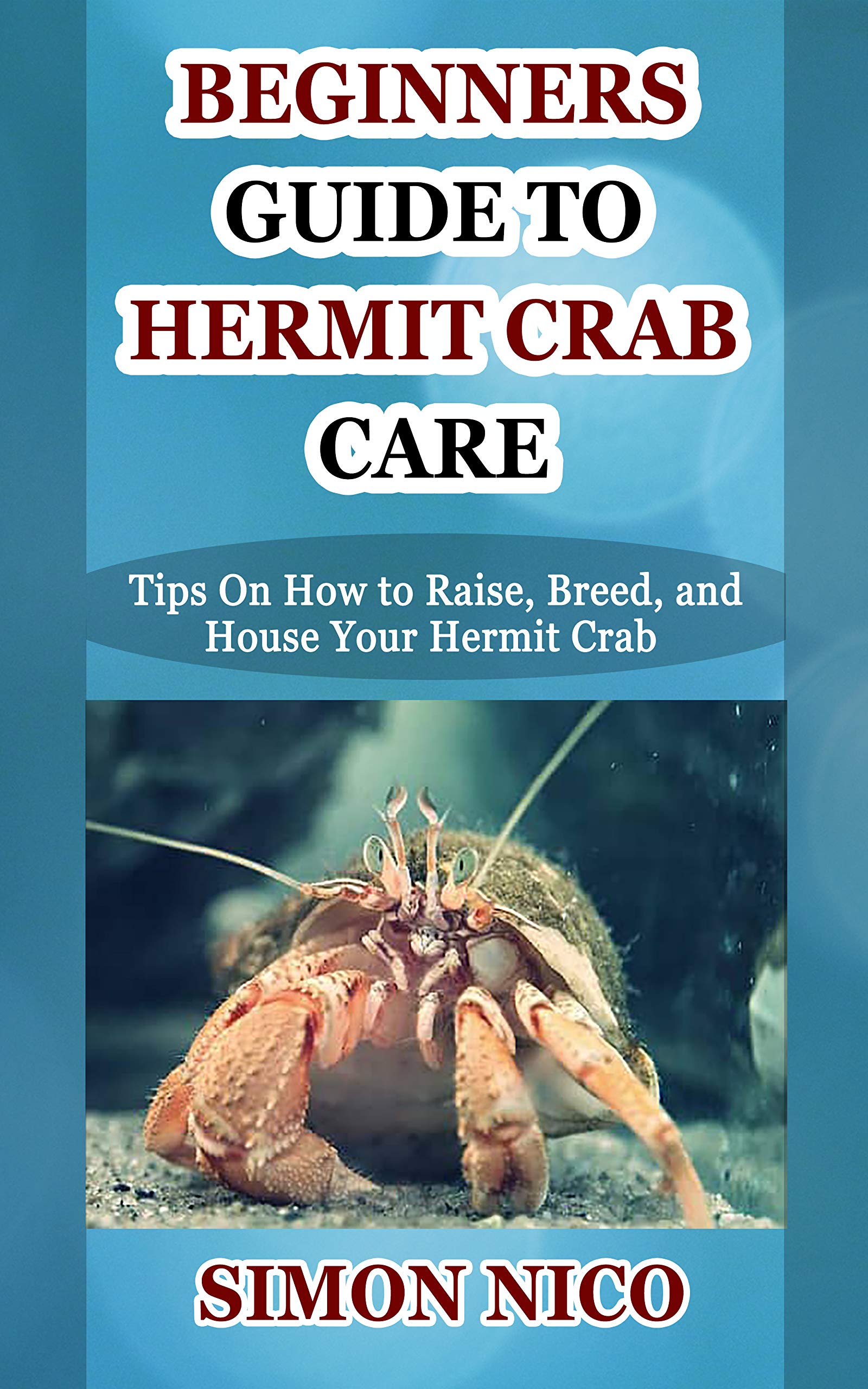 BEGINNERS GUIDE TO HERMIT CRAB CARE: Tips On How to Raise, Breed, and House Your Hermit Crab by ...