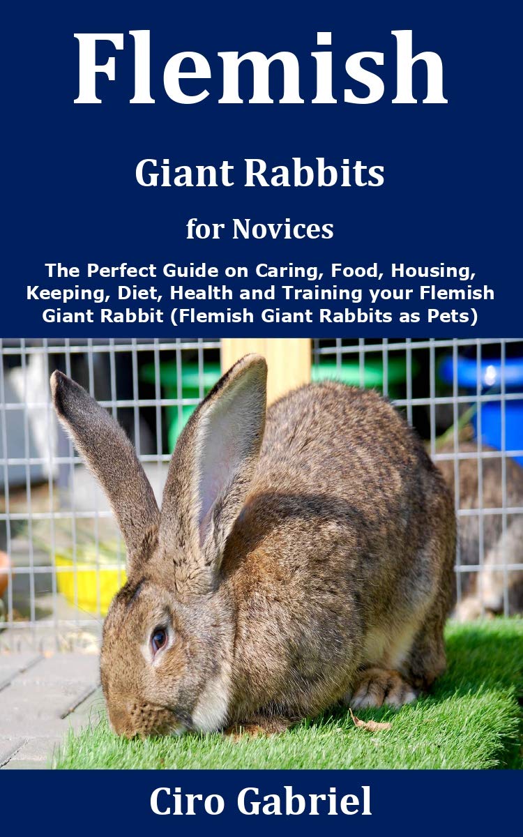 Flemish Giant Rabbits for Novices: The Perfect Guide on Caring, Food ...