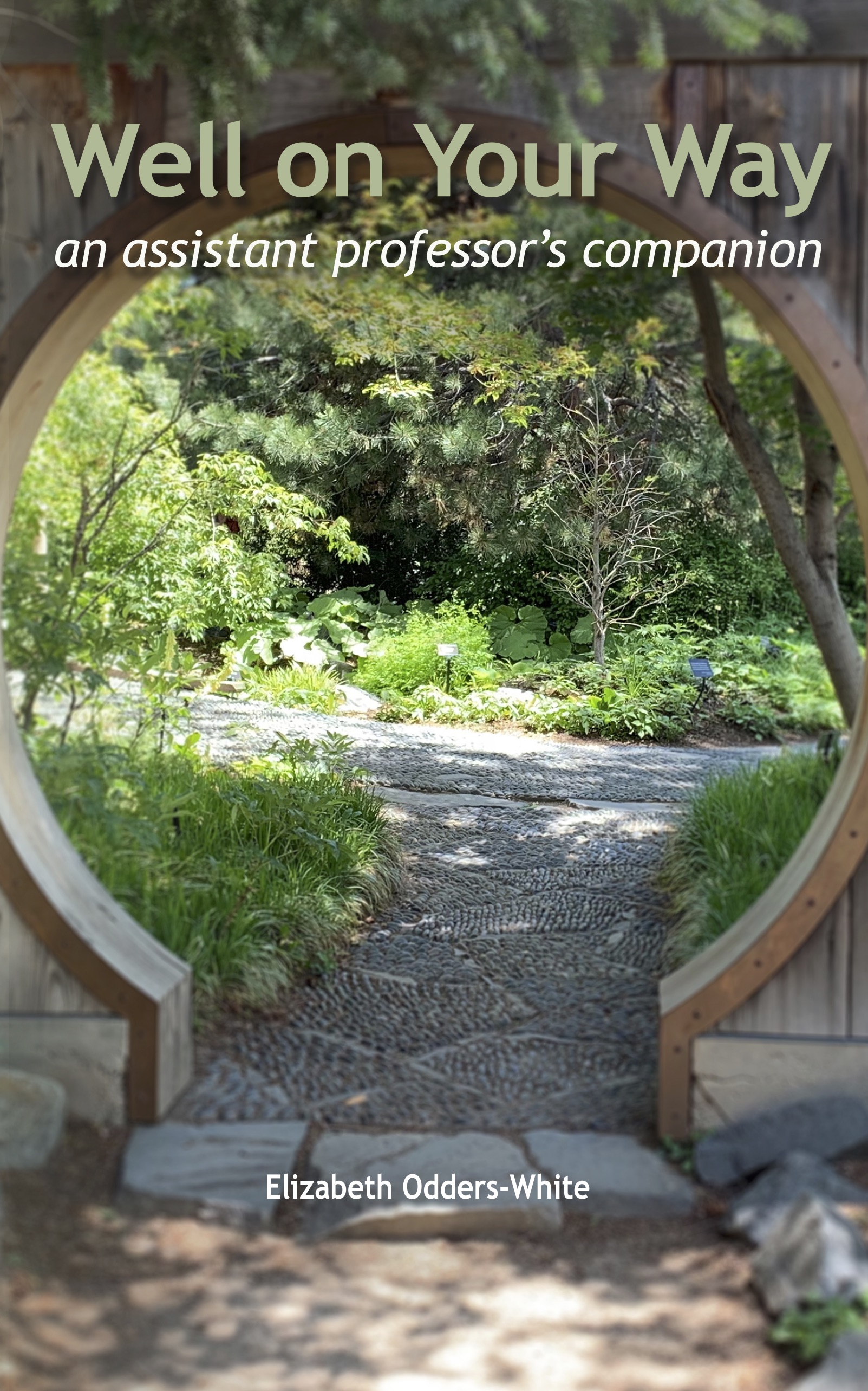 Well on Your Way: an assistant professor's companion by Elizabeth ...